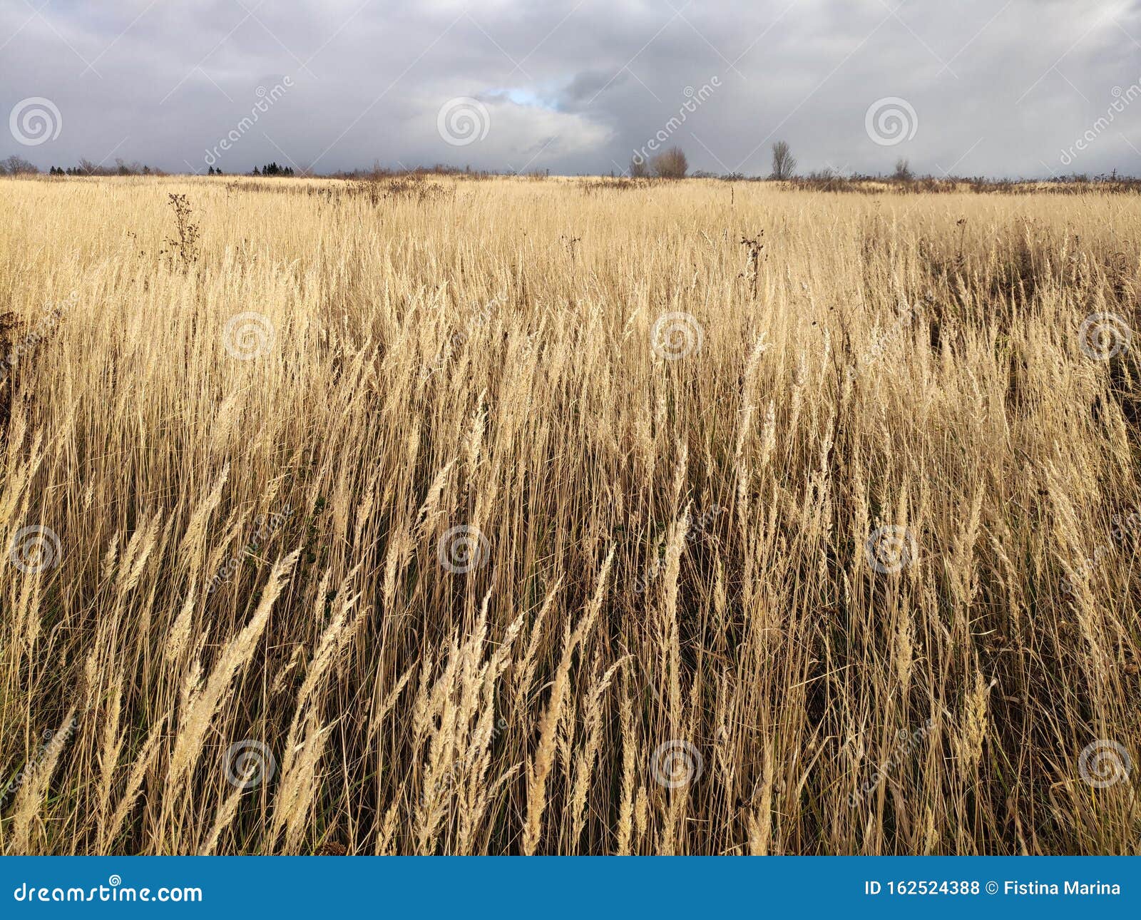 Russian Field in the Fall - Dry Grass Stock Photo - Image of traveling ...