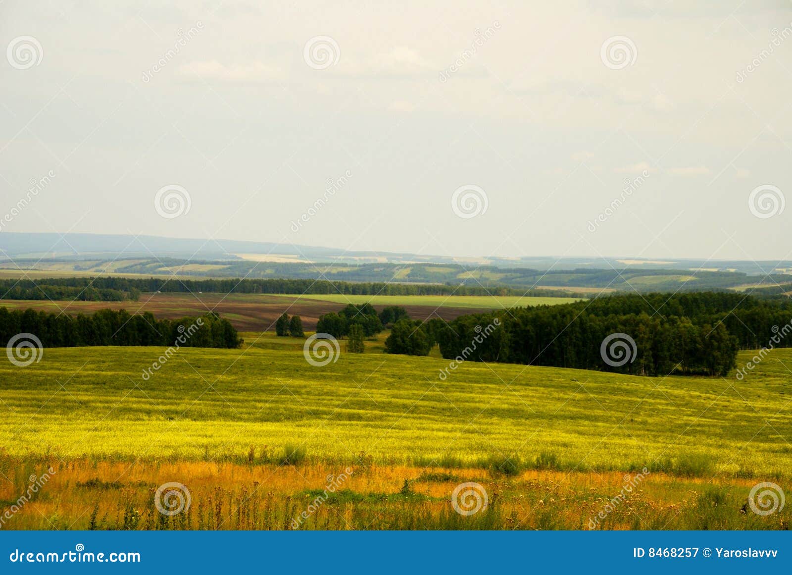 Russian field. Siberia stock image. Image of hills, russia - 8468257