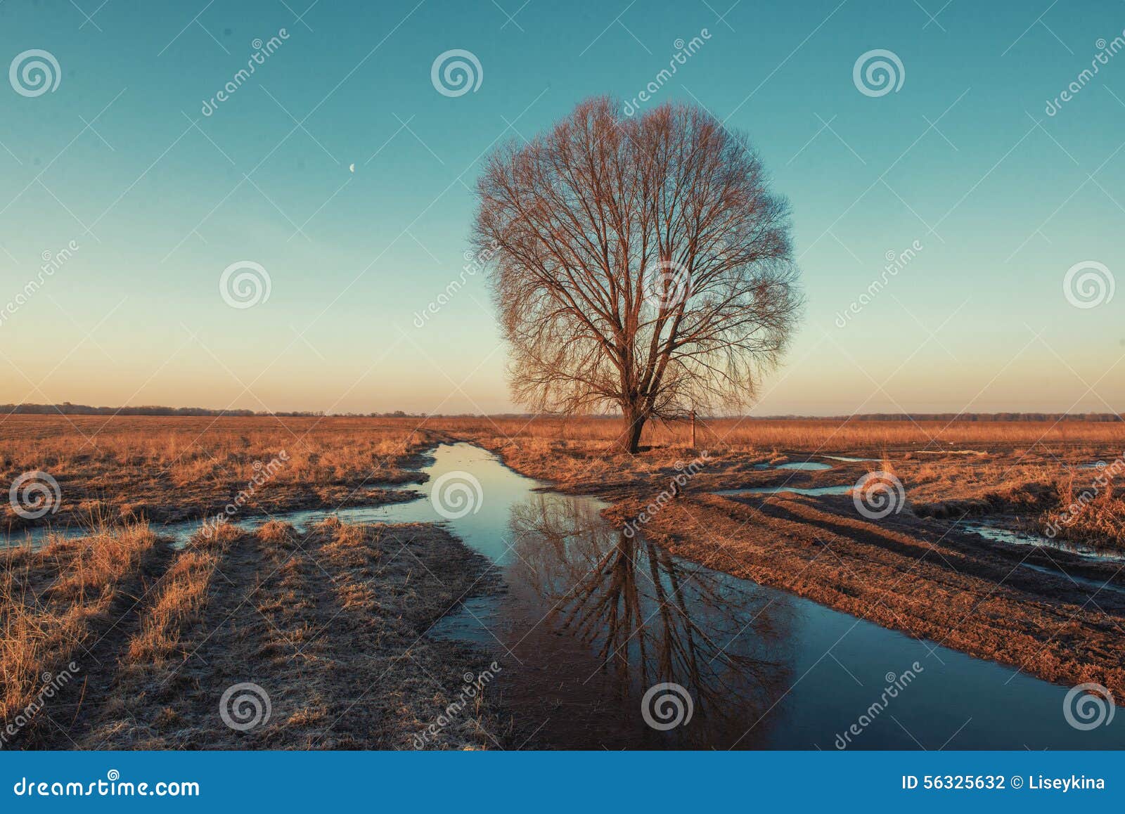 Russian Field at the Spring, Russia Stock Photo - Image of alone ...