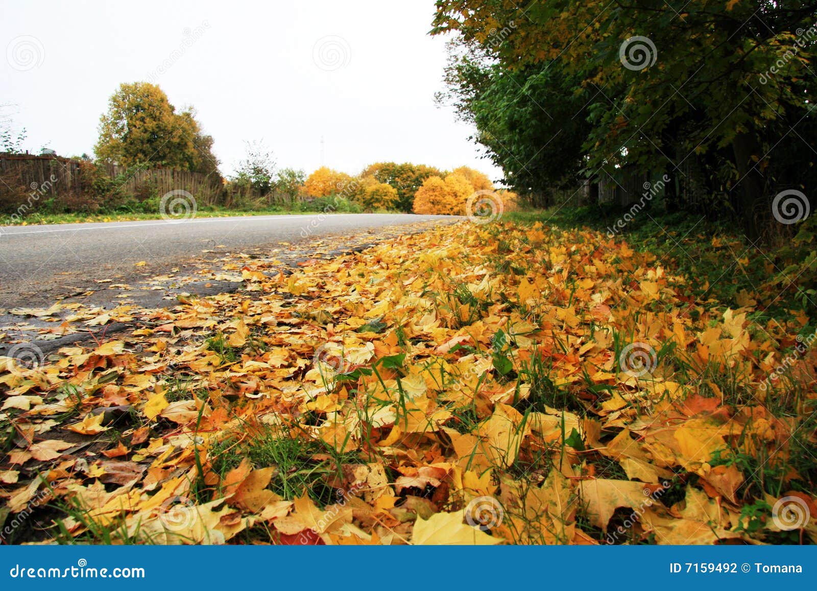 Russian fields stock photo. Image of fall, yellow, nature - 7159492