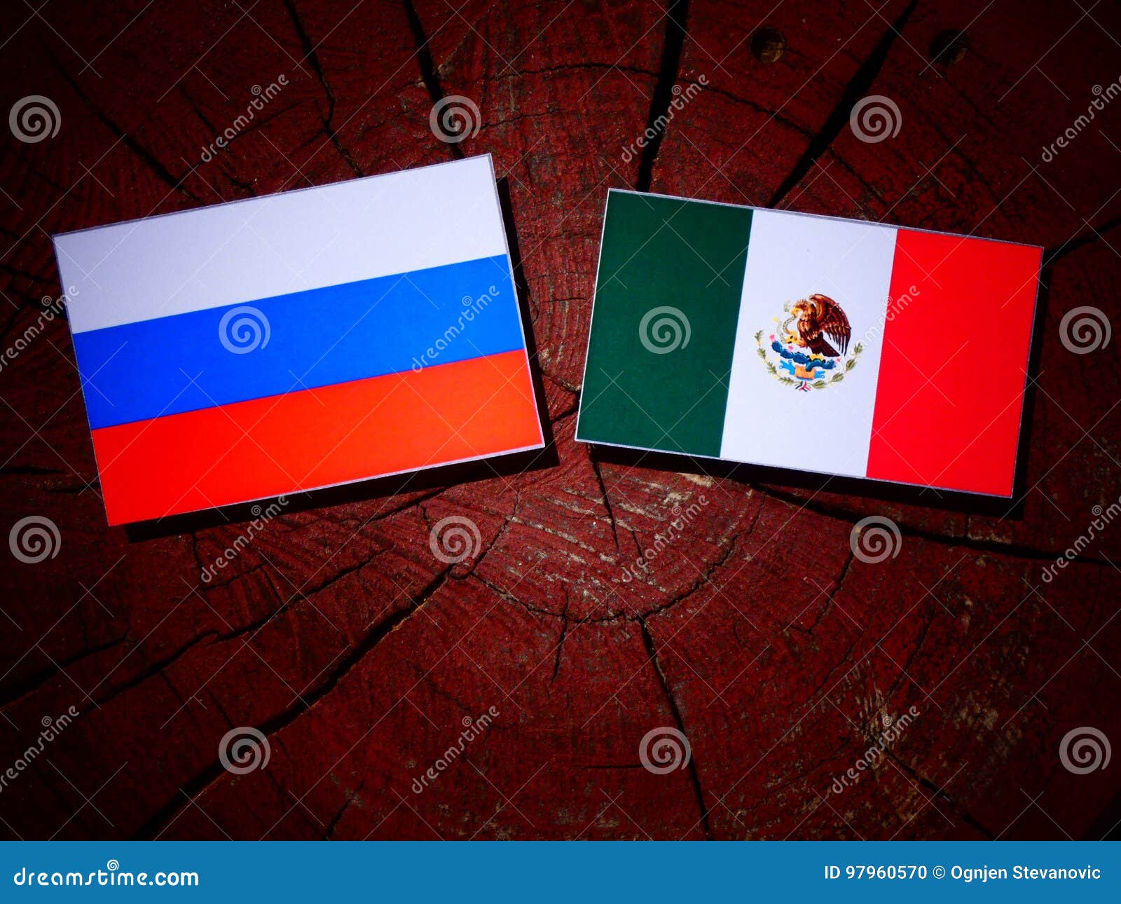 Russian Flag with Mexican Flag on a Tree Stump Isolated Stock Photo ...