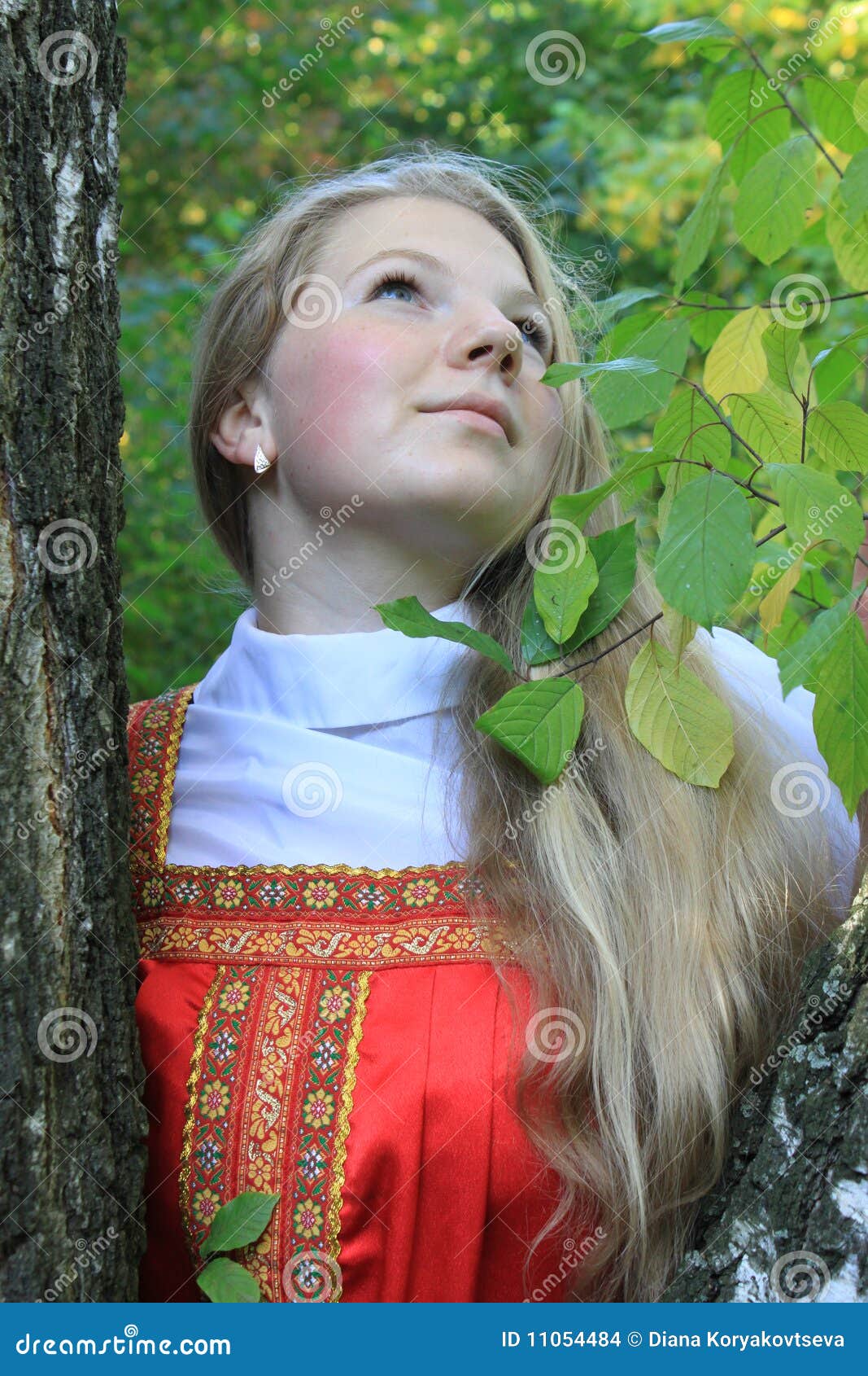 Russian girl birch stock photo. Image of birch, russian - 11054484