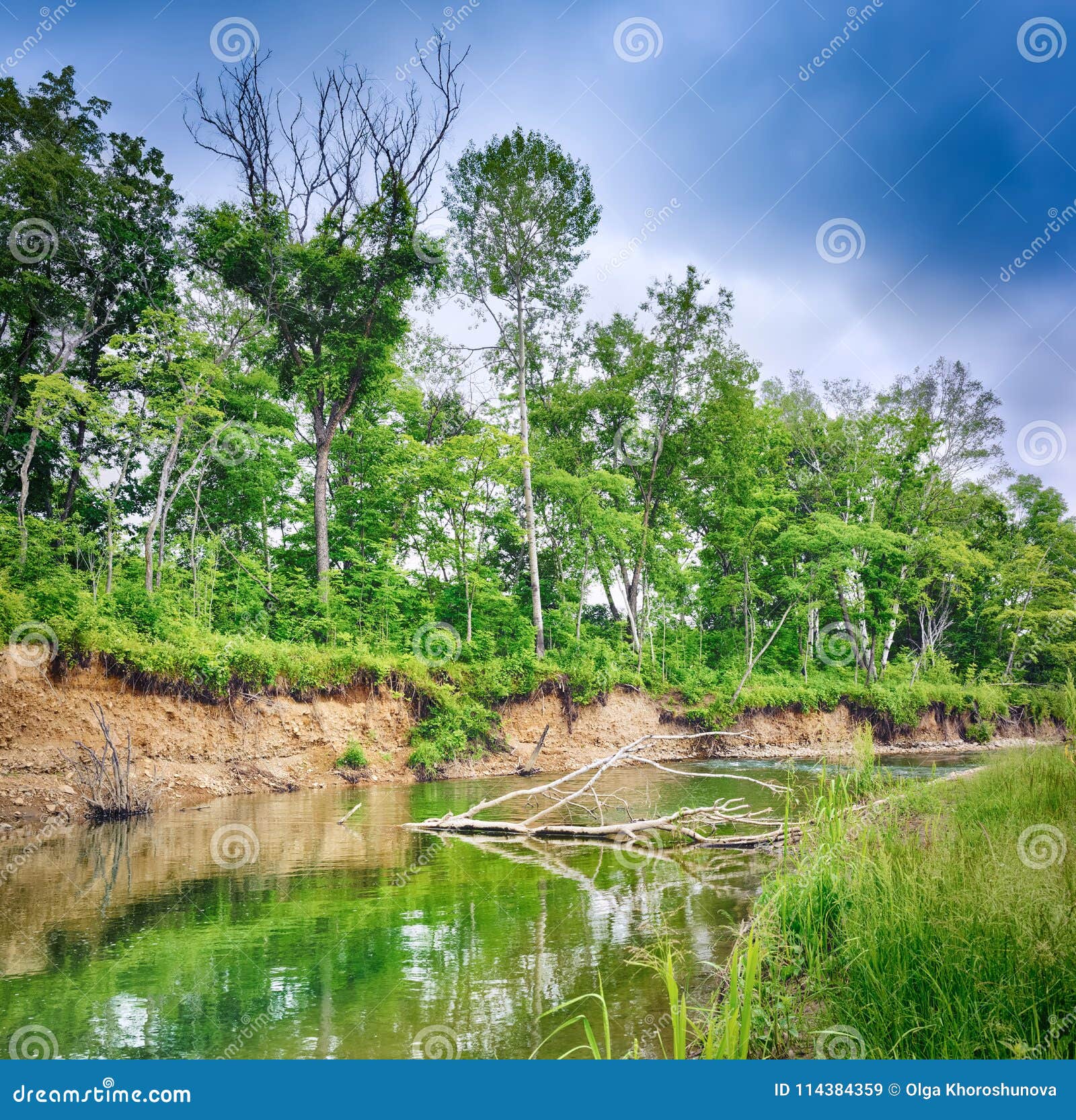 Landscape With Stream And Steep Shore, Fast Water Current Washed Soil ...