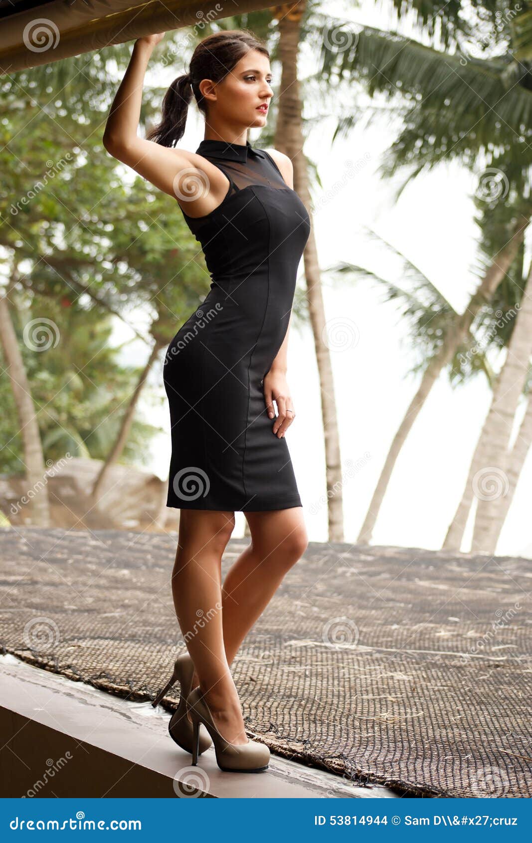 Russian Model stock photo. Image of russian, priya, devani - 53814944