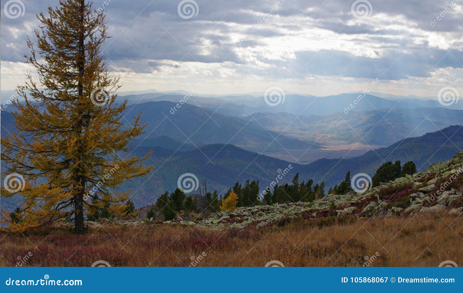 The Russian Mountain. Trees and Mountain Stock Image - Image of ...