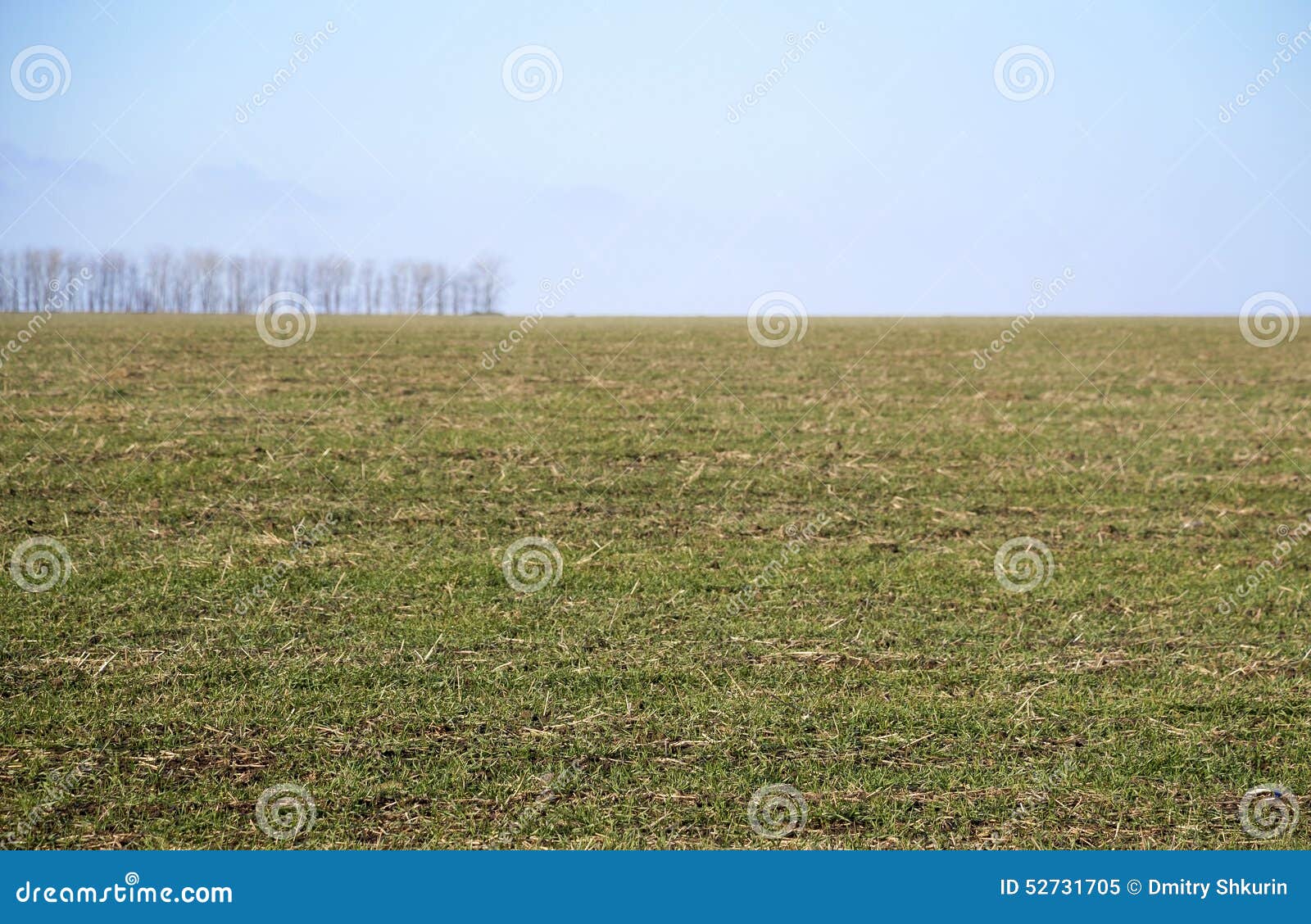 Russian Prairie in Winter. Stavropol Stock Image - Image of morning ...