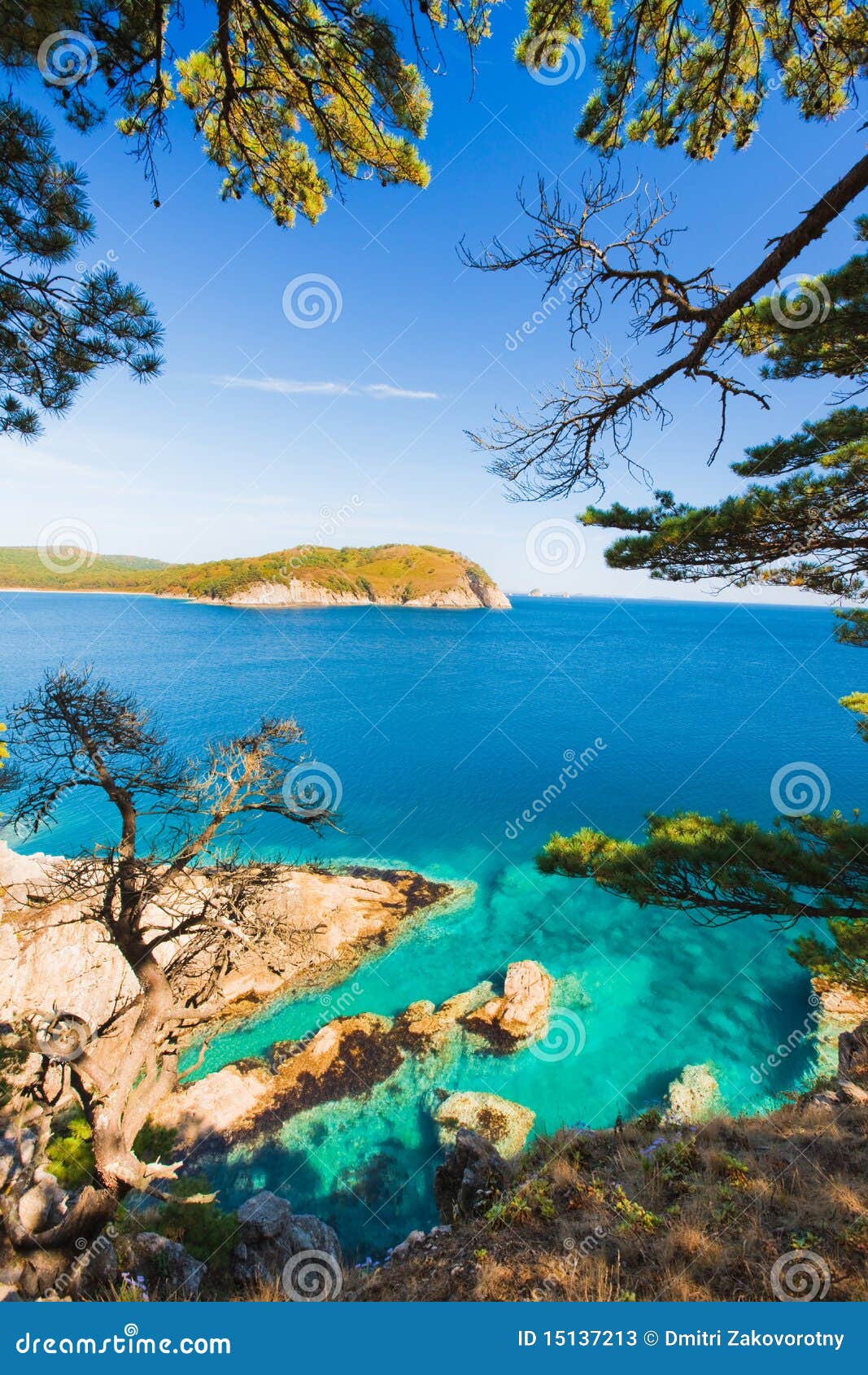 Russian Primorye Rocky Shore Cedar Stock Image - Image of coast, ocean ...