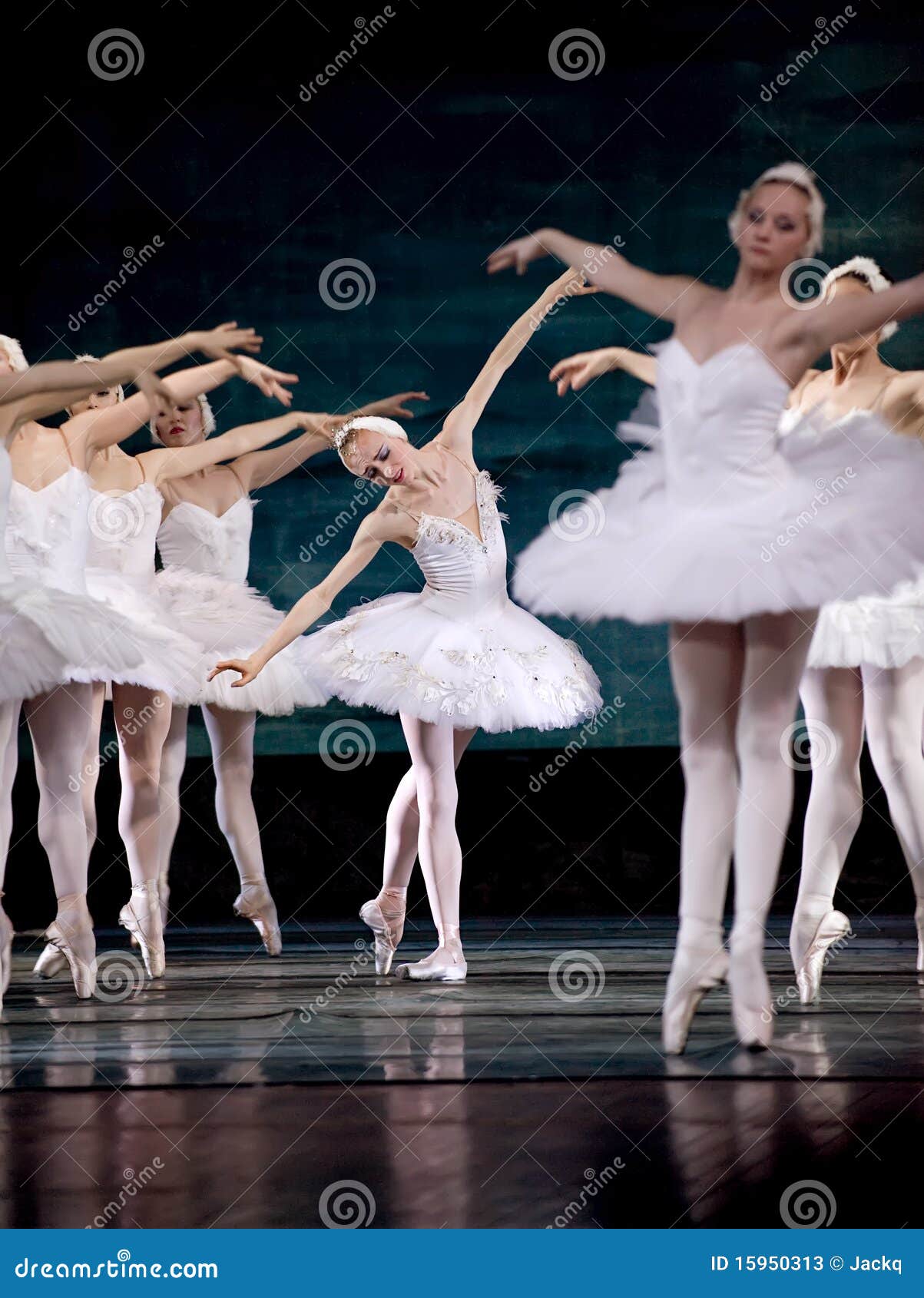 Russian Royal Ballet Perfome Swan Ballet Editorial Photo ...