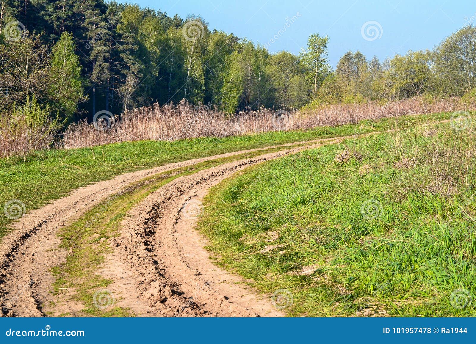 Russian Rural Landscape with Empty Dirt Road Stock Photo - Image of ...
