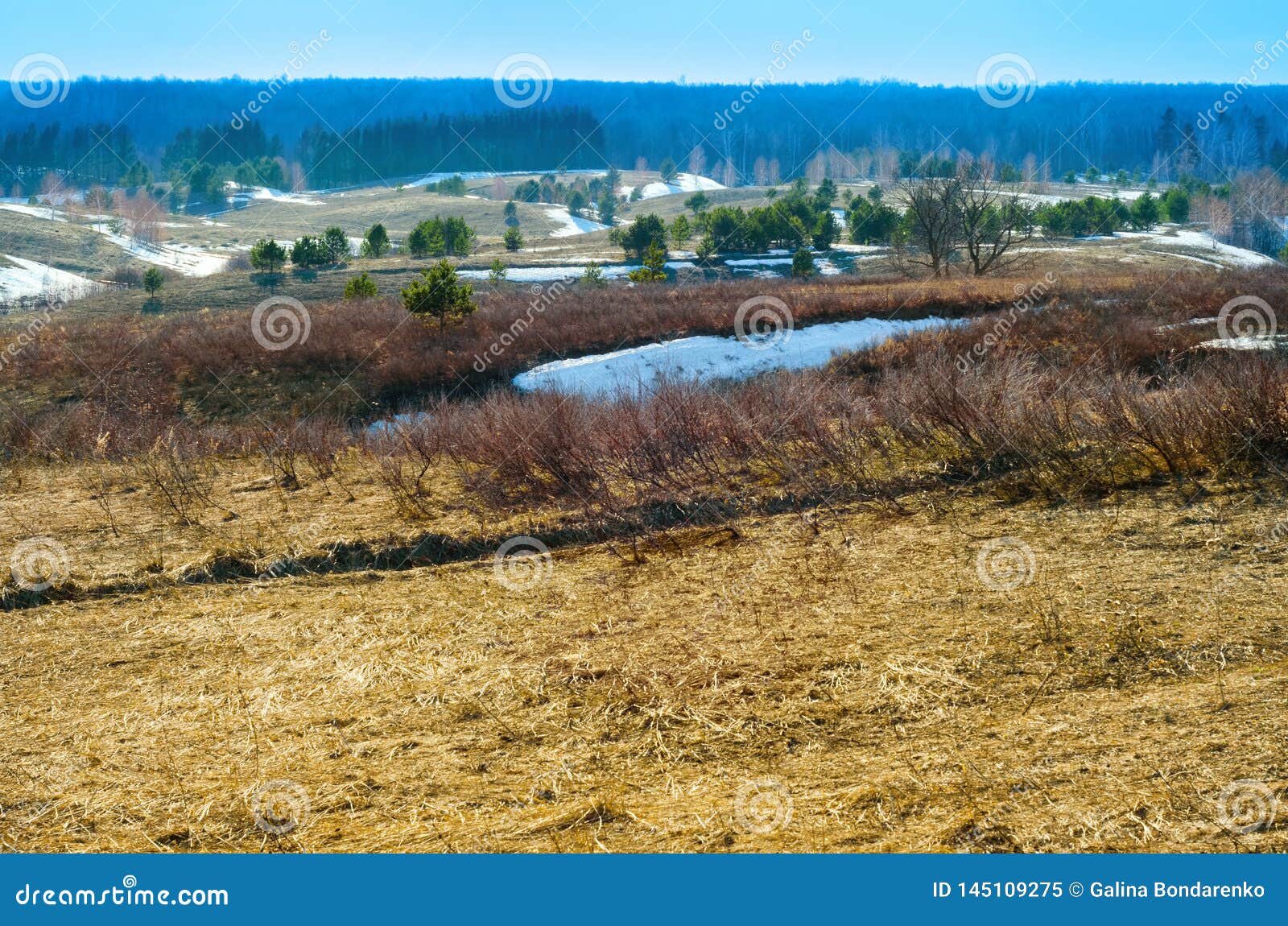 Russian Spring Landscape in April, Snow Melts Stock Image - Image of ...