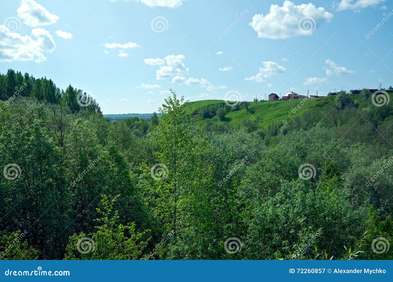 Russian spring meadow stock image. Image of field, meadow - 72260857