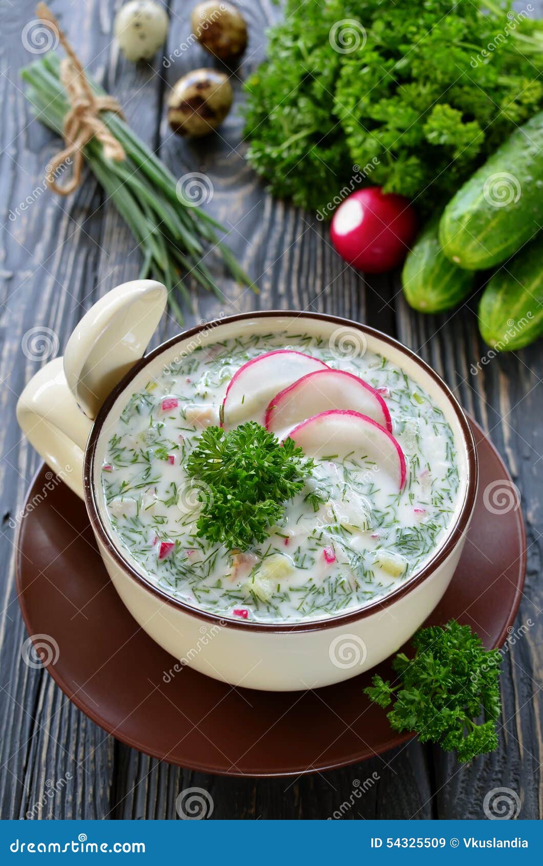 Russian Spring and Summer Cold Soup with Kefir Stock Image - Image of ...