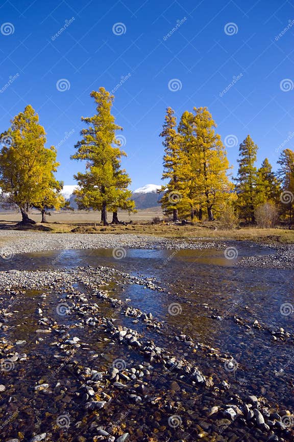 Russian steppe landscape stock image. Image of landscape - 3596651