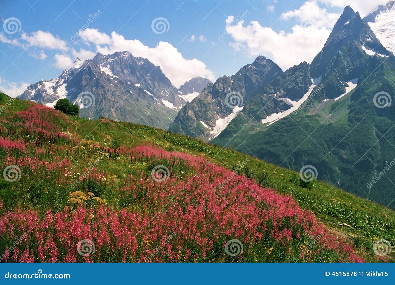 Russian Summer stock photo. Image of height, range, environment - 4515878
