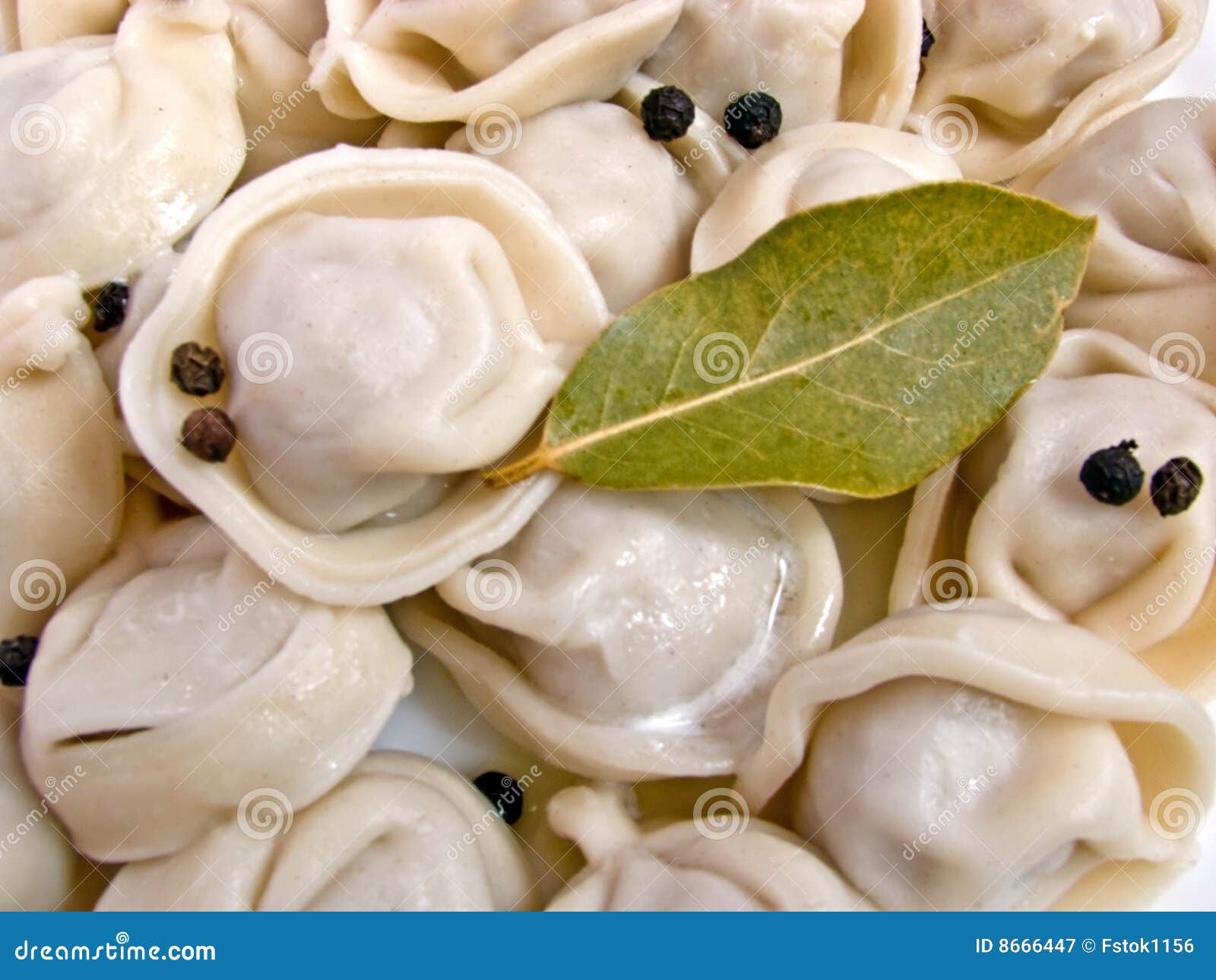 Russian traditional food stock image. Image of dinner - 8666447