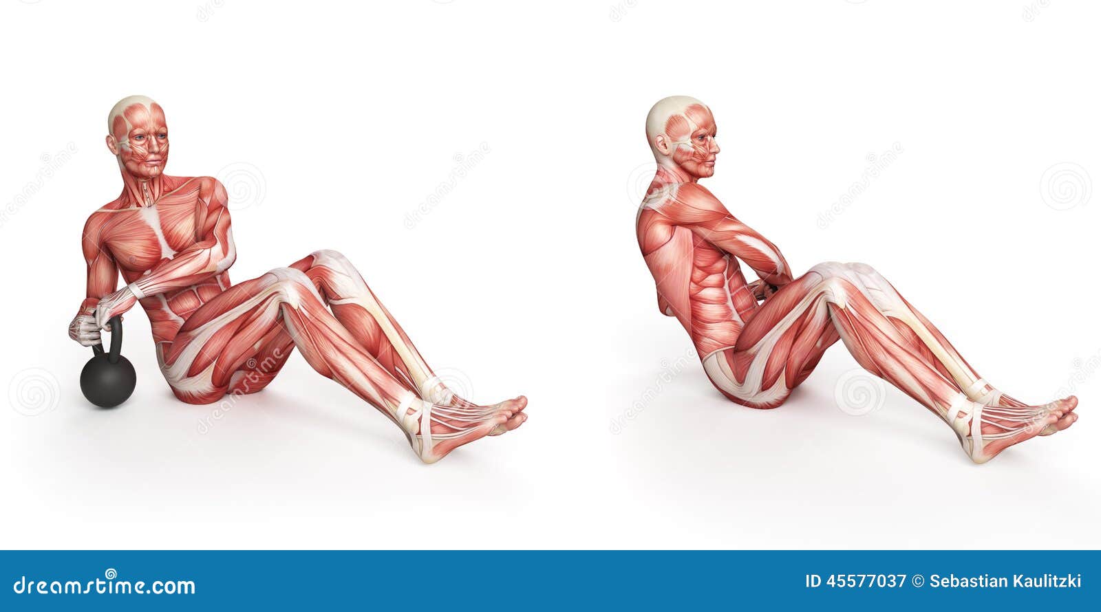 Russian Twist Dumbbell Moves Manga Gym Set Illustration | CartoonDealer ...