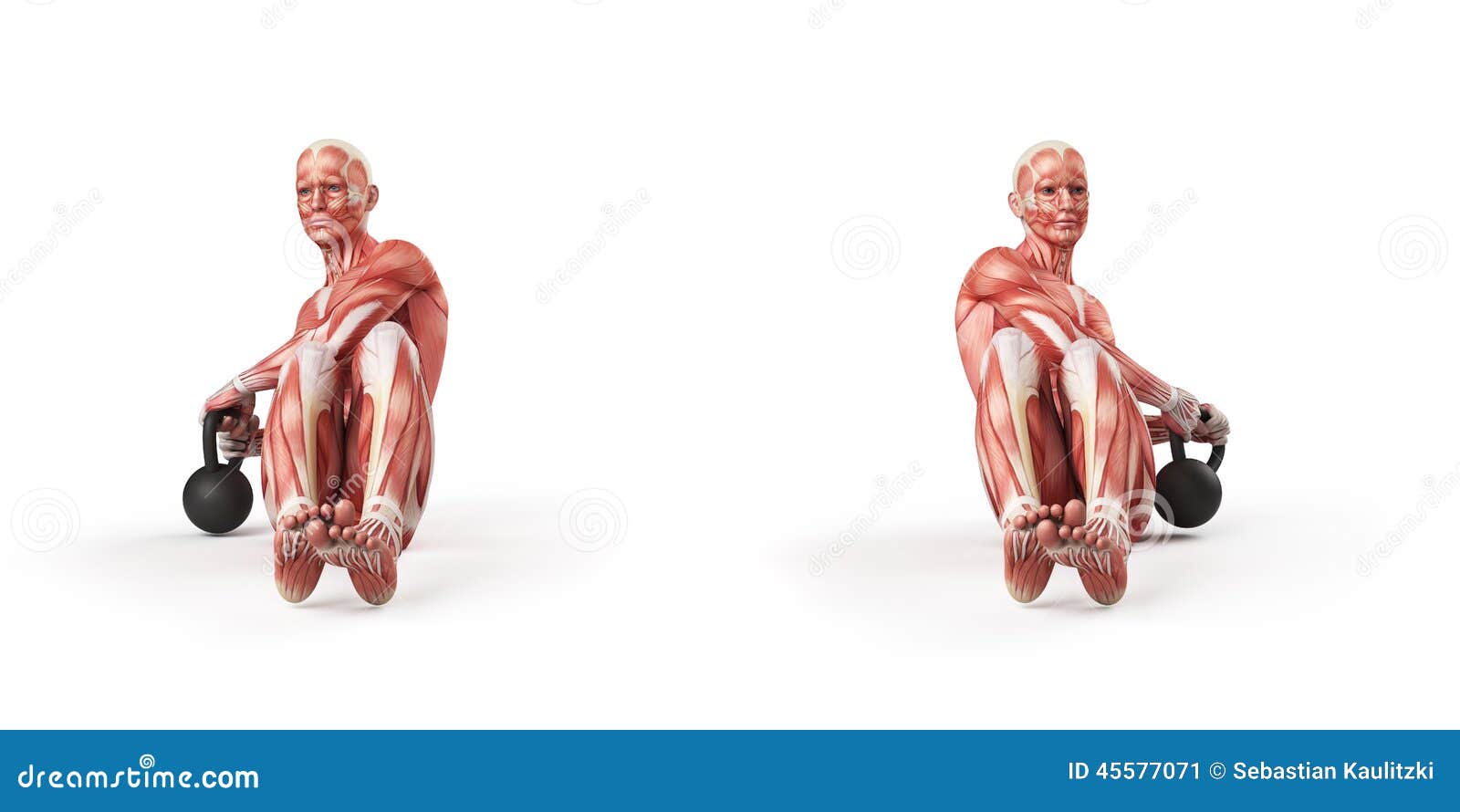 Russian Twist Dumbbell Moves Manga Gym Set Illustration | CartoonDealer ...