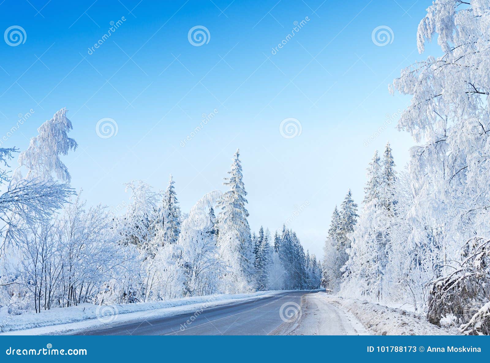 Russian Winter Forest Road in Snow and Ice Stock Image - Image of ...