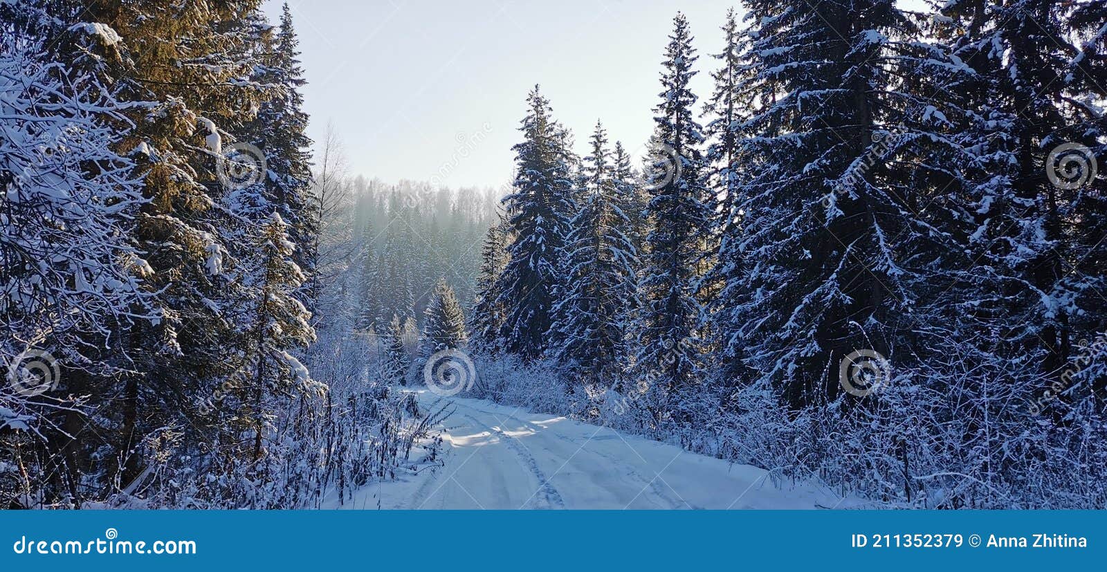 Russian Winter Forest, Roud Stock Image - Image of piste, freezing ...