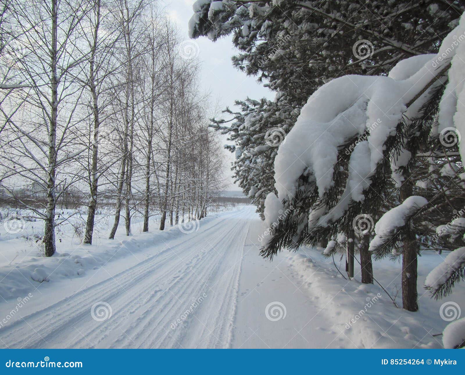 Russian Winter Landscape with Snow Stock Photo - Image of ride, trees ...