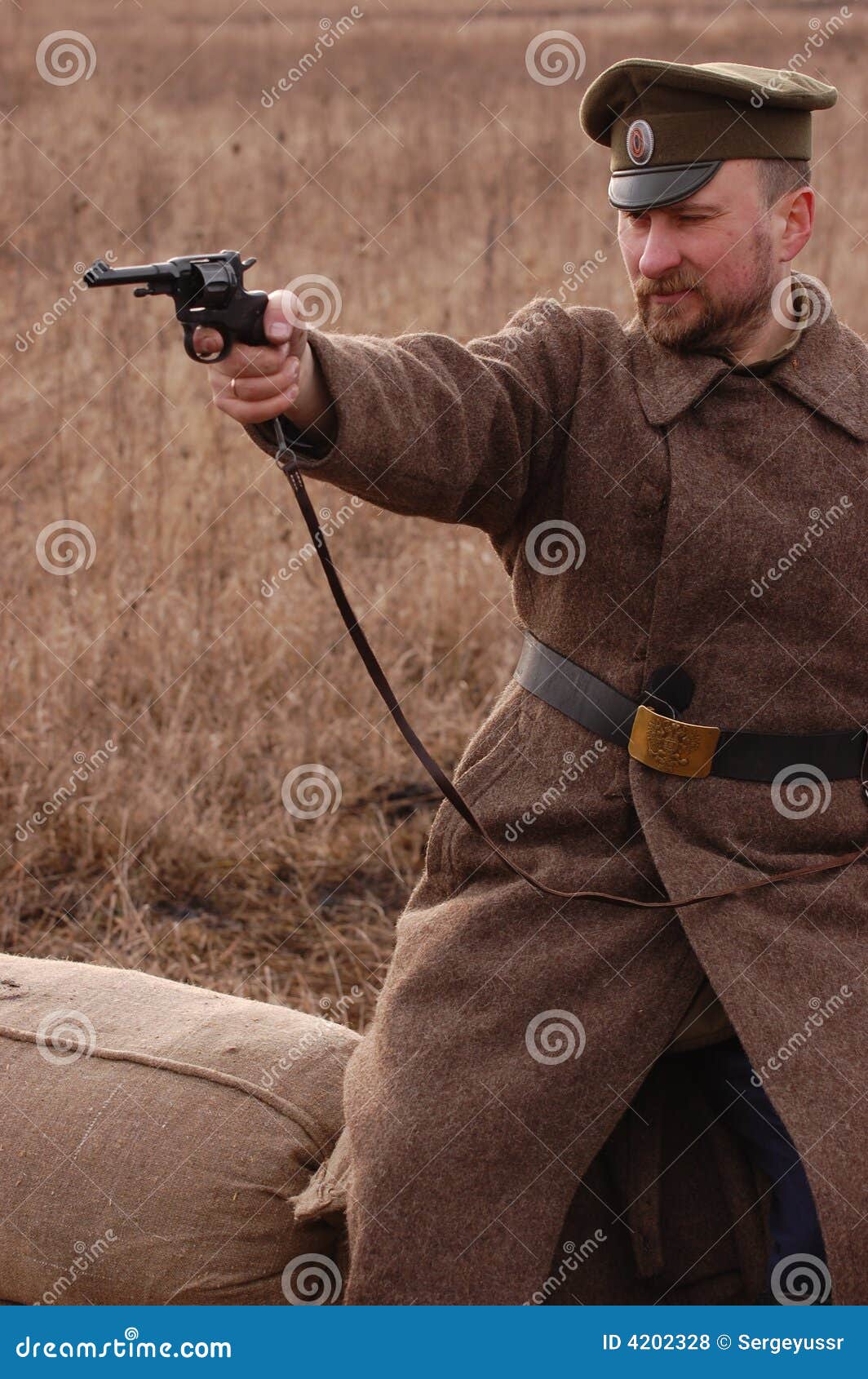 Russischer Soldat 1918 stockfoto. Bild von winter, waffe - 4202328