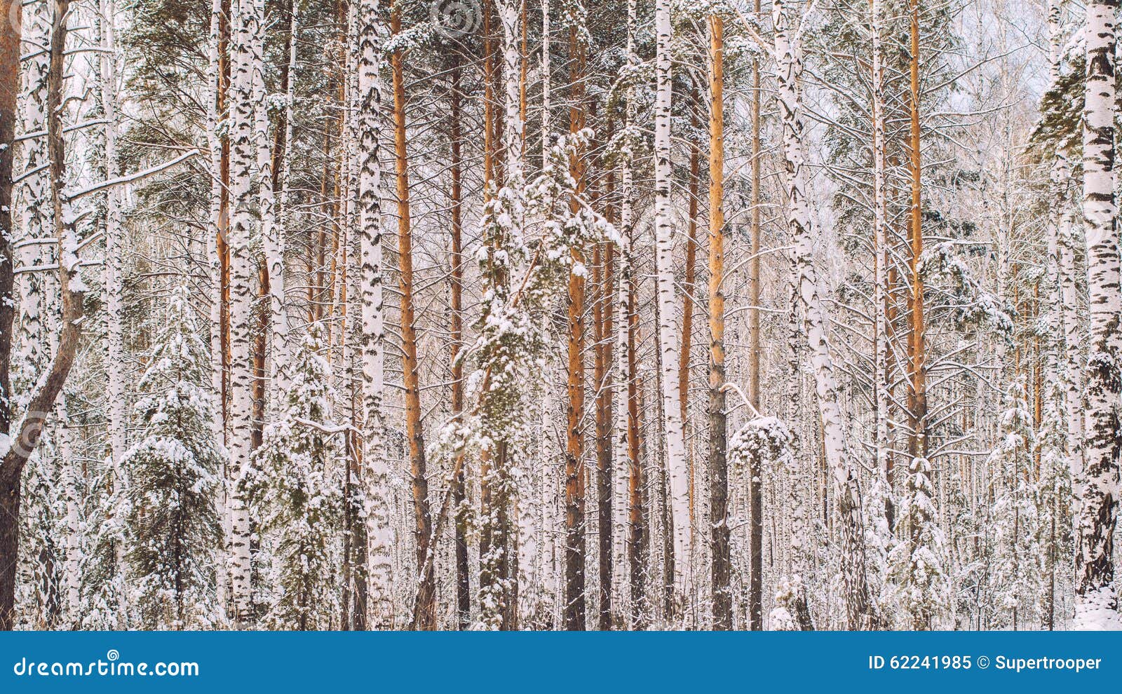 Russland, UralJanuary, Temperatur -33C Stockbild - Bild von schnee ...