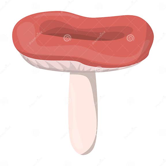 Russula Mushroom. Edible Organic Mushrooms. Truffle Brown Cap. Forest ... Russula Mushroom. Edible Organic Mushrooms. Truffle Brown Cap. Forest ...