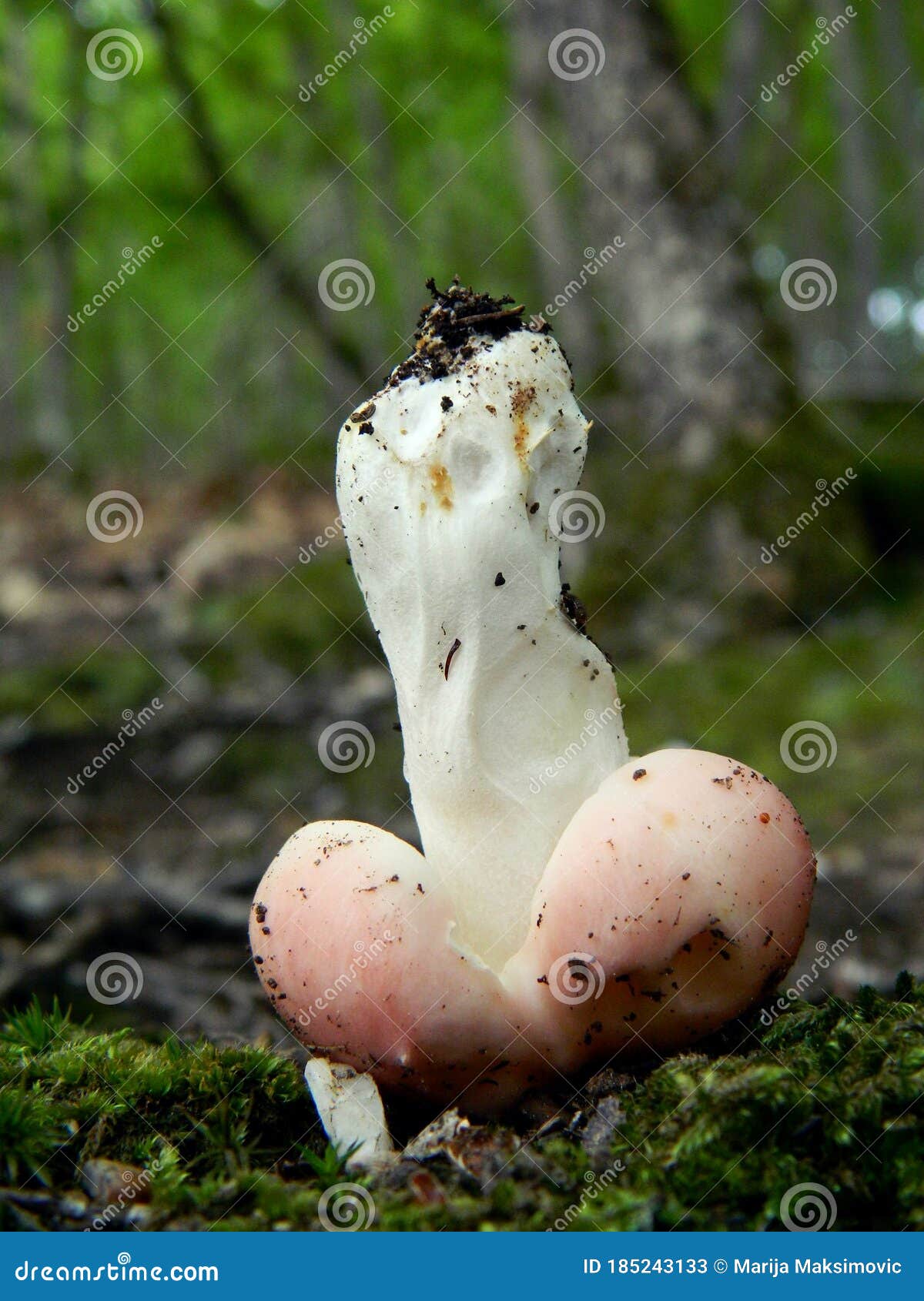 Phallic Shape Tube With Strong Stream Splashing Water To The Air In ...