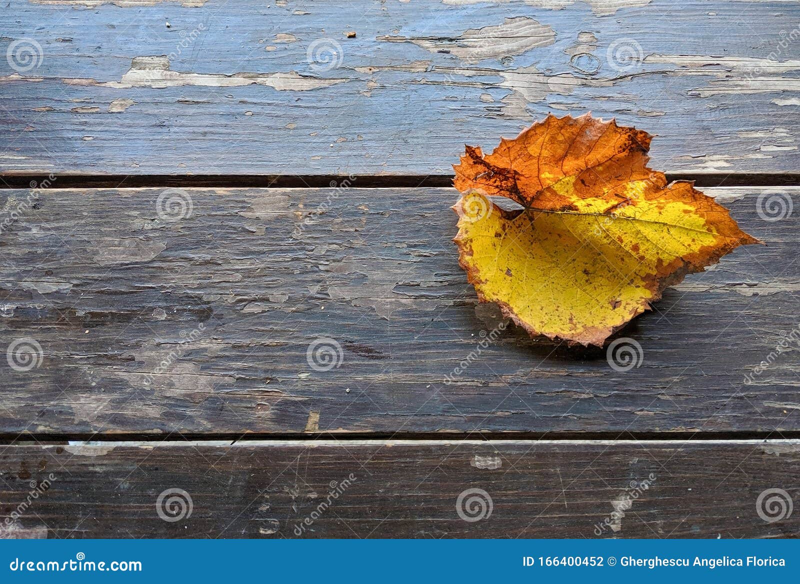 Rust Autumn Leaf on Wooden Boards Stock Photo - Image of foliage ...