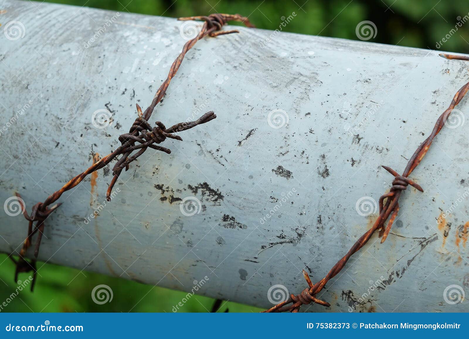 Rust Barbed Wire Around Pipe Stock Photos - Free & Royalty-Free Stock ...