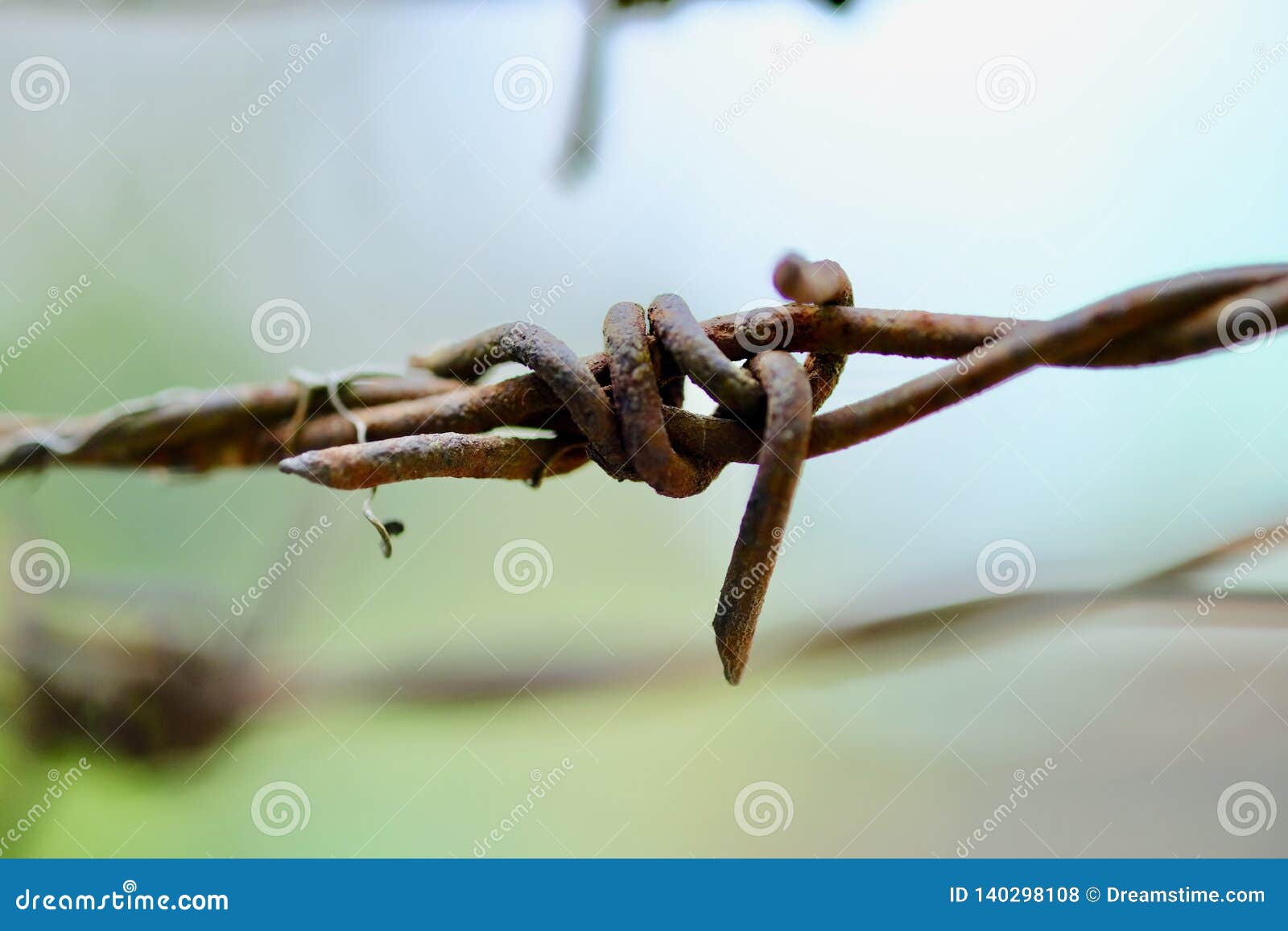 Rust on barbed wire stock photo. Image of industrial - 140298108