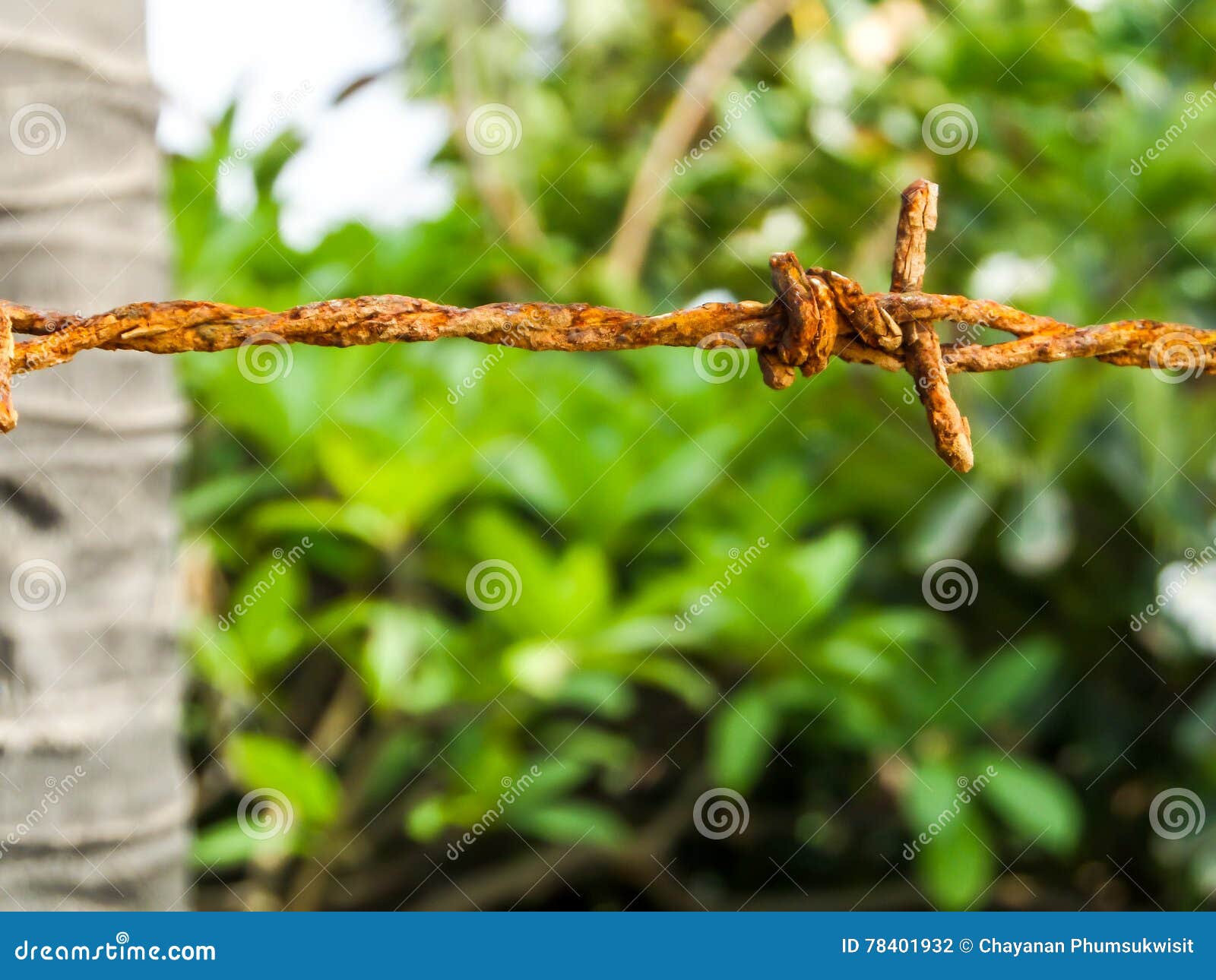 Rust of Barbed Wire in Private Area Stock Photo - Image of background ...