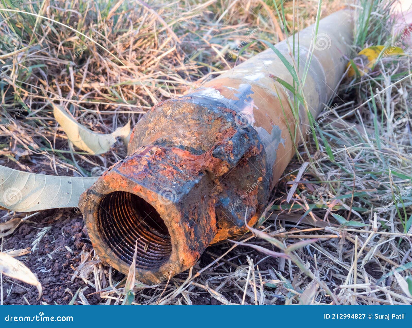 Rust of pipe. stock image. Image of plant, produce, woodland - 212994827