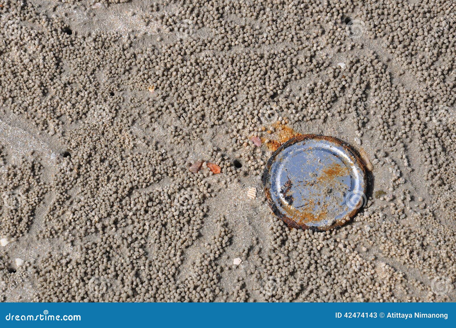 Rust Tin Can On The Beach. Garbage On The Beach. Marine Pollution ...