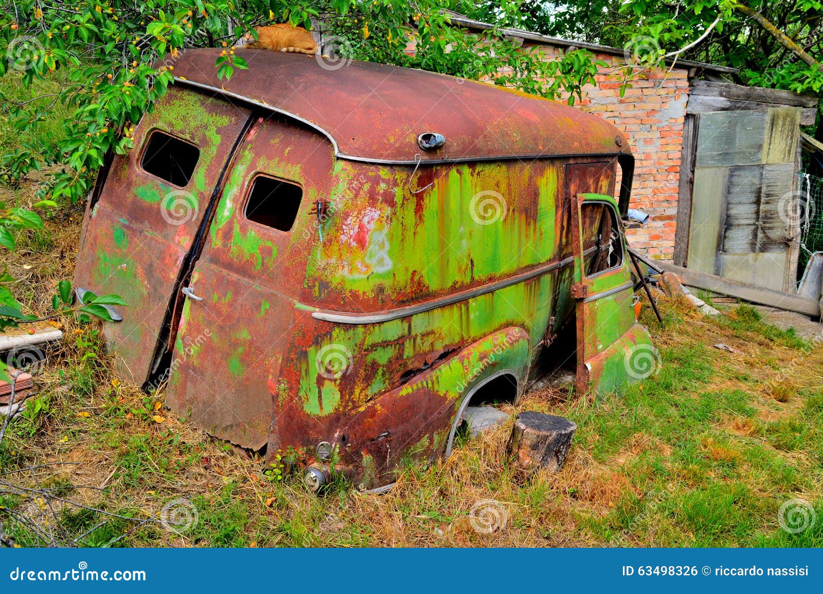 The rust and the cat stock photo. Image of wrecked, italia - 63498326