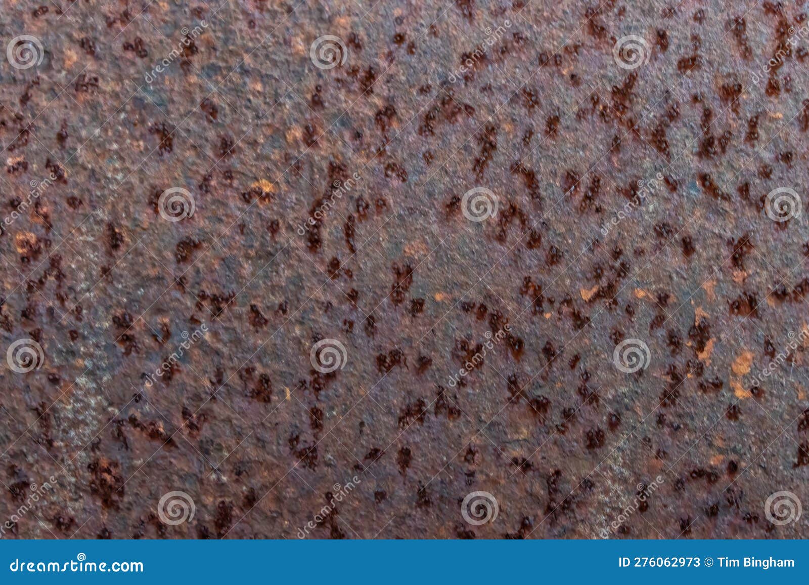 Rust Covered Steel Close Up Stock Image - Image of plant, slight: 276062973