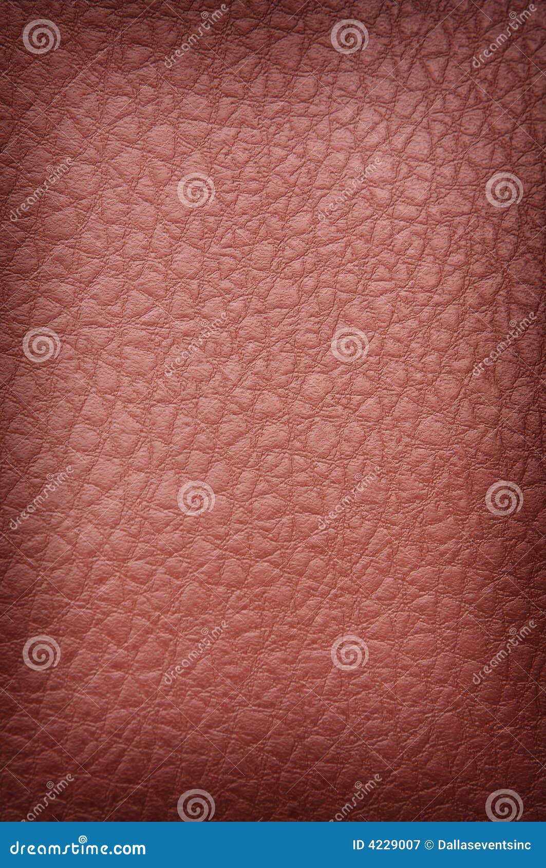 Rust Crackled Leather Picture. Image: 4229007