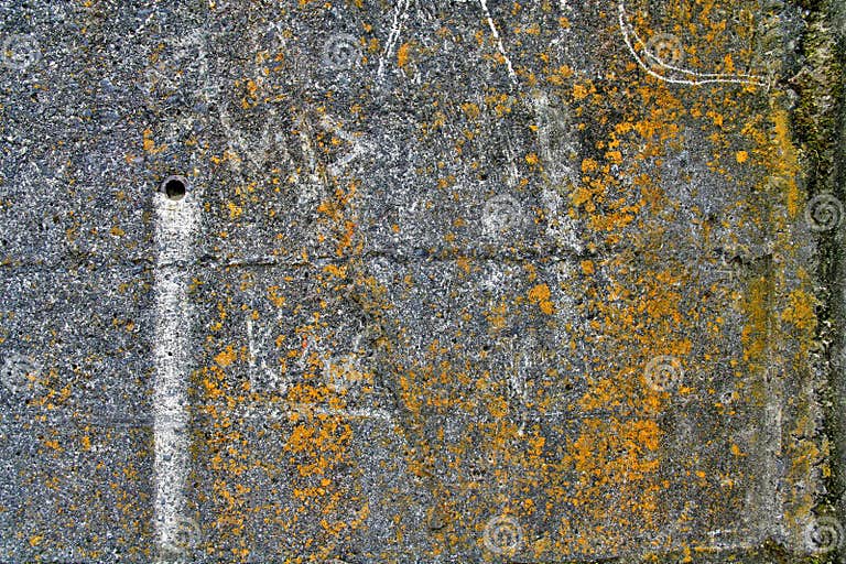 Rust Graffiti on Concrete Wall Stock Photo - Image of details, uneven ...