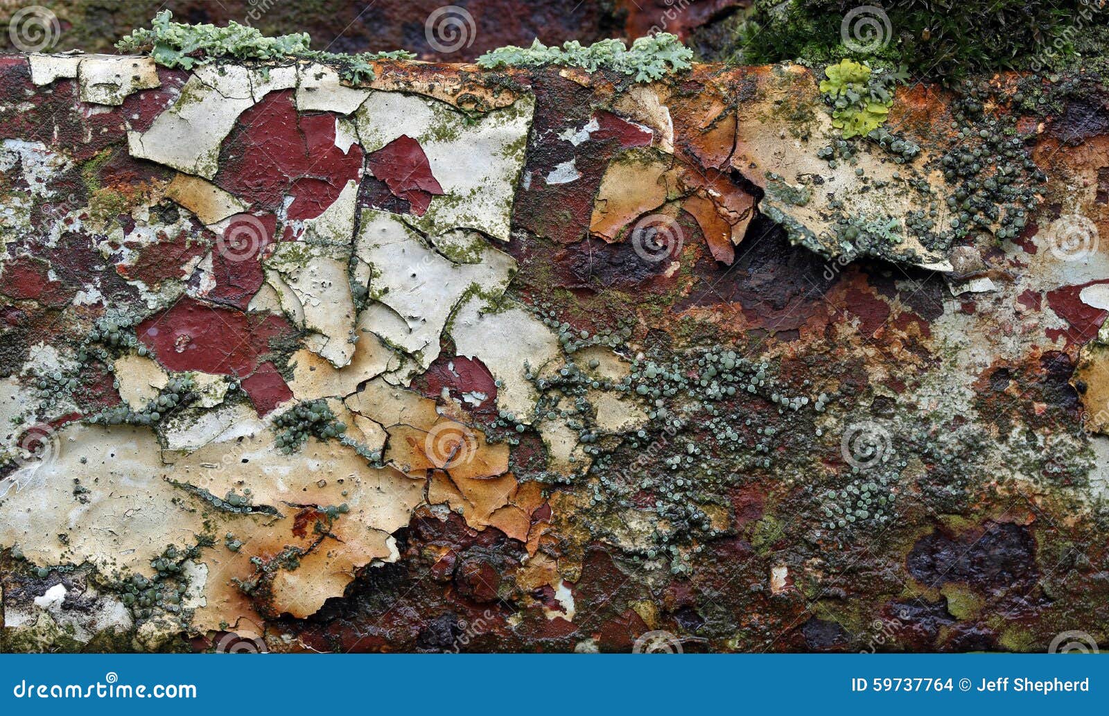 Rust, Lichen and Flaky Paint Stock Photo - Image of flaky, lichen: 59737764