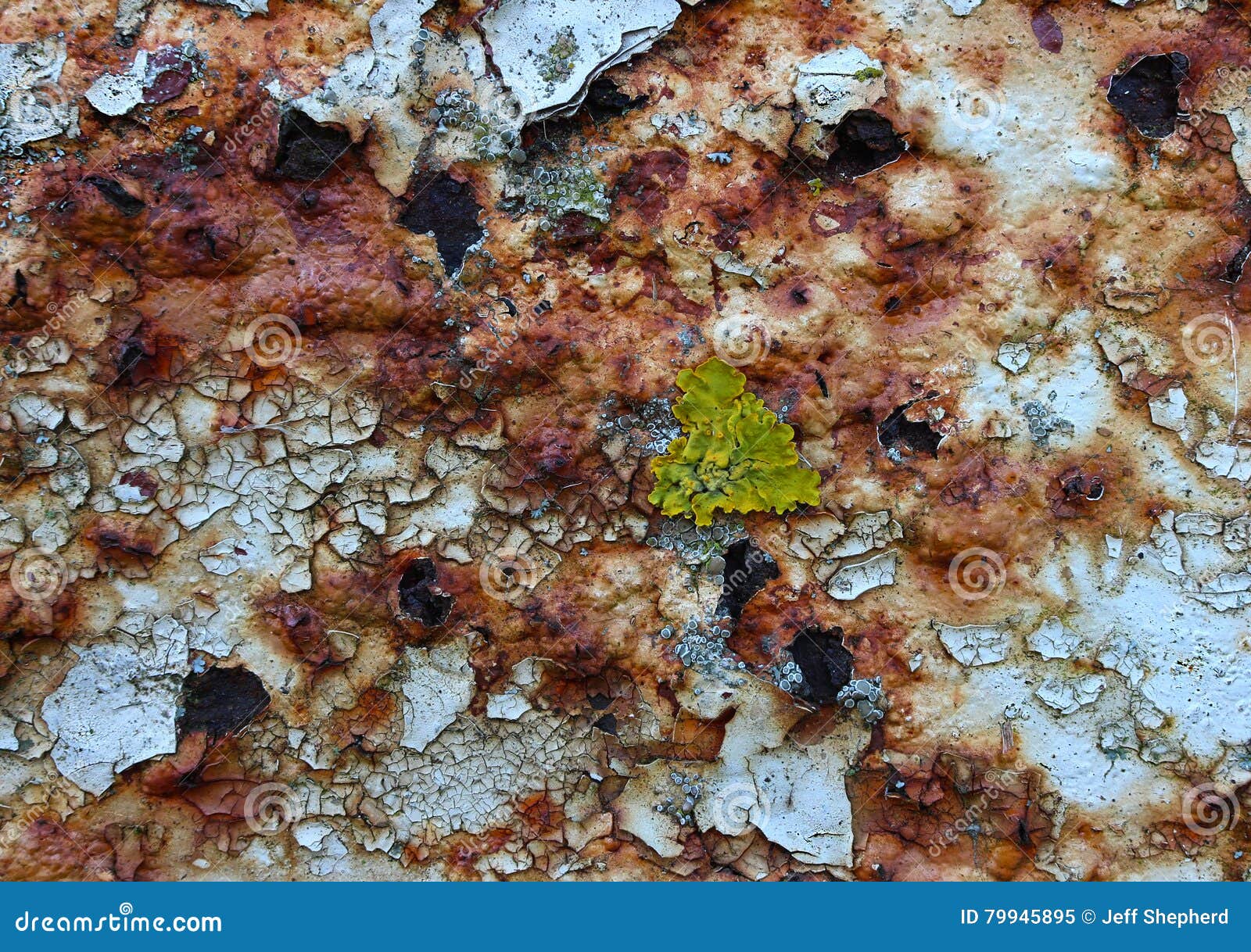 Rust, Lichen and Flaky Paint Stock Image - Image of rotting, detailed ...