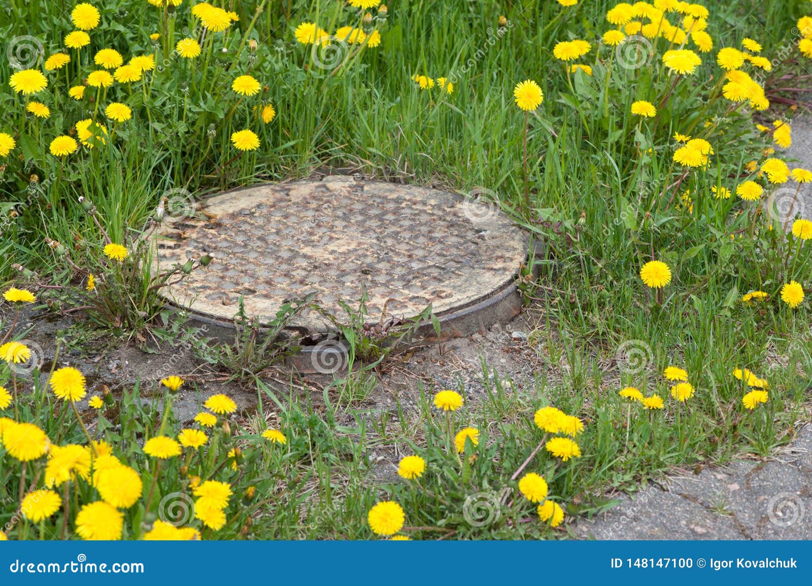 Rust manhole cover stock photo. Image of access, cover - 148147100