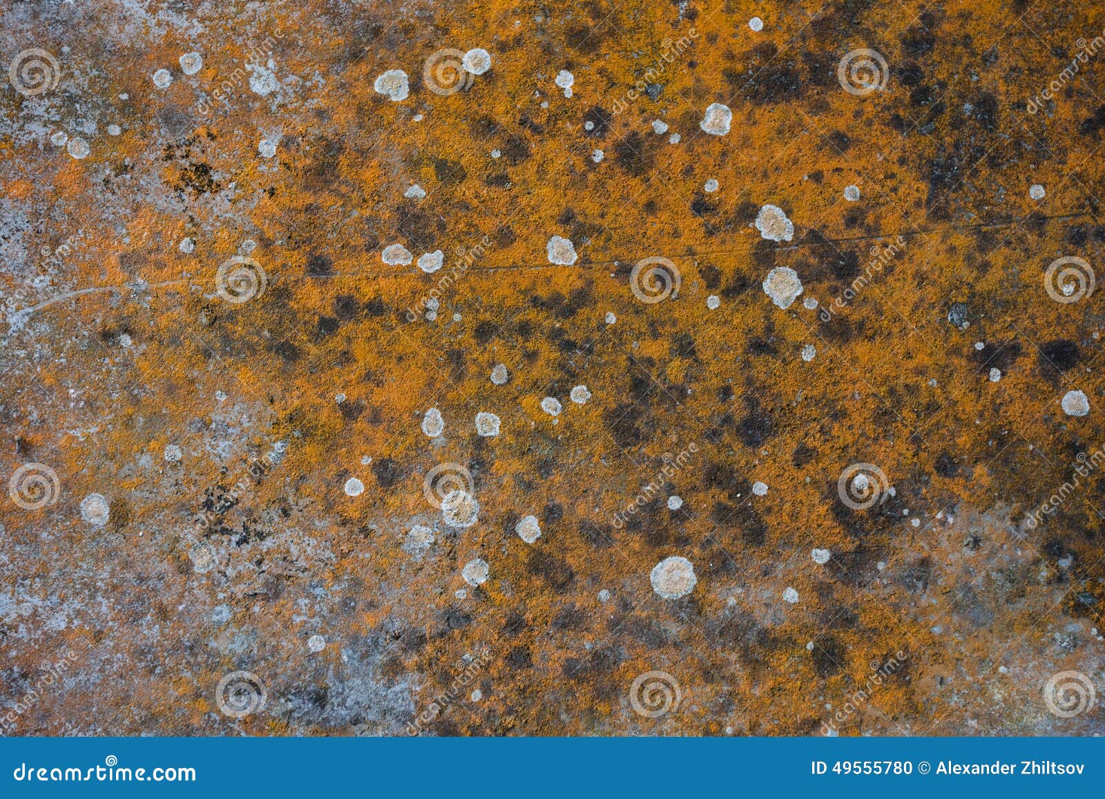 Rust metal texture stock photo. Image of texture, textured - 49555780
