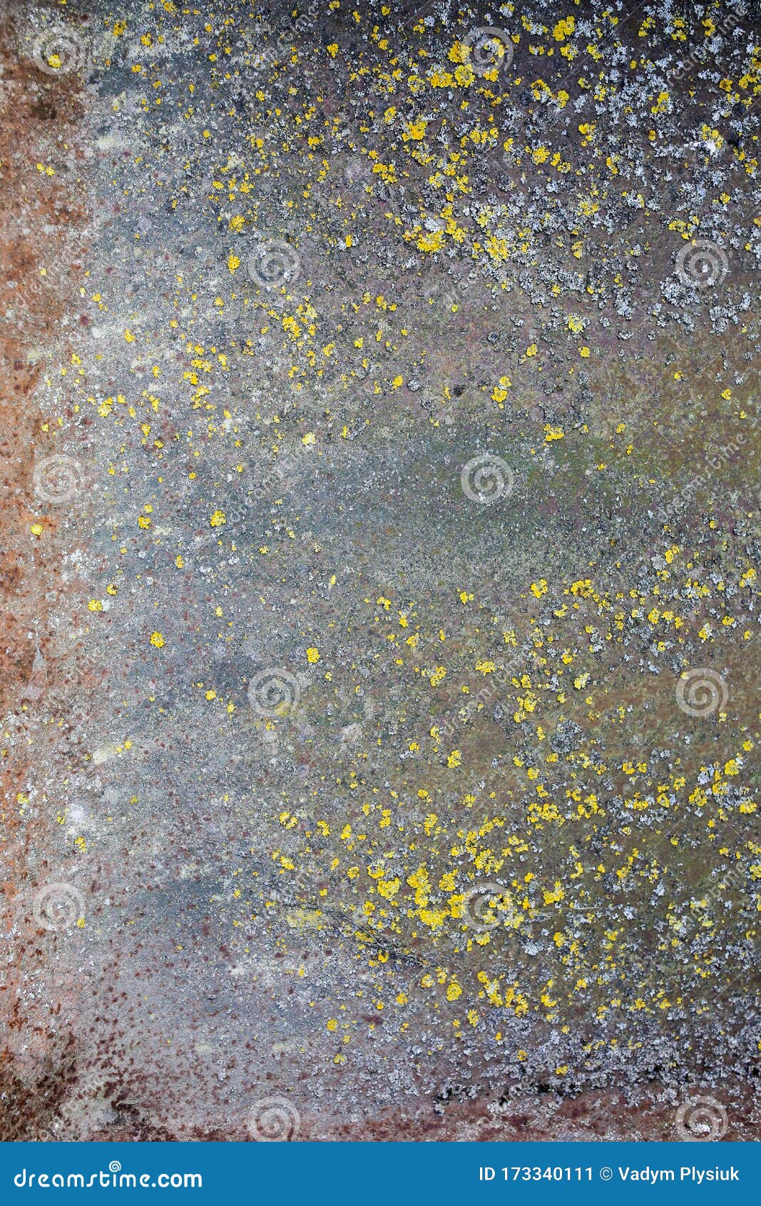 Rust and Moss on the Metal Surface. Natural Texture Background Stock ...