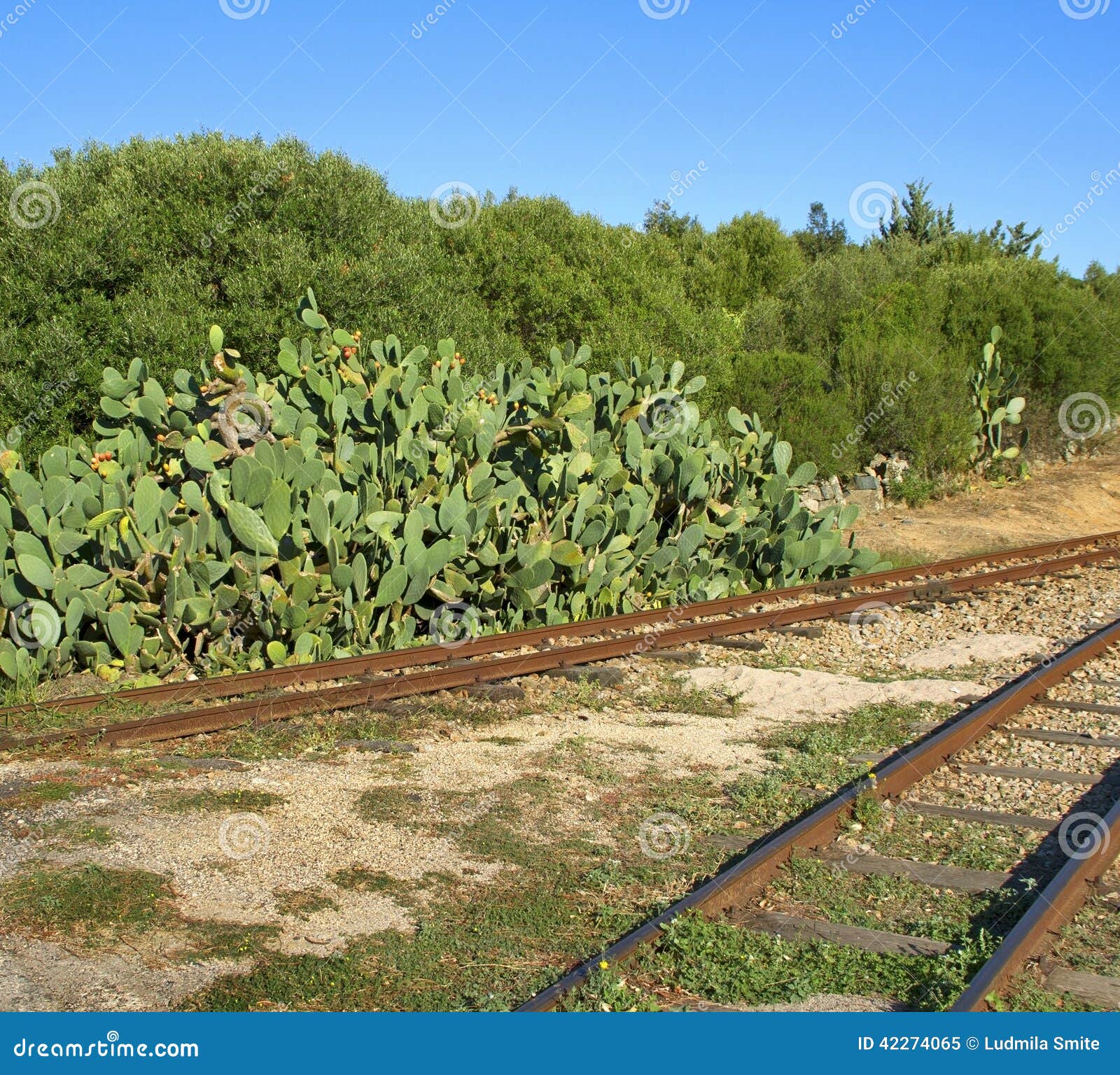 Rust railroad. stock image. Image of natural, nature - 42274065