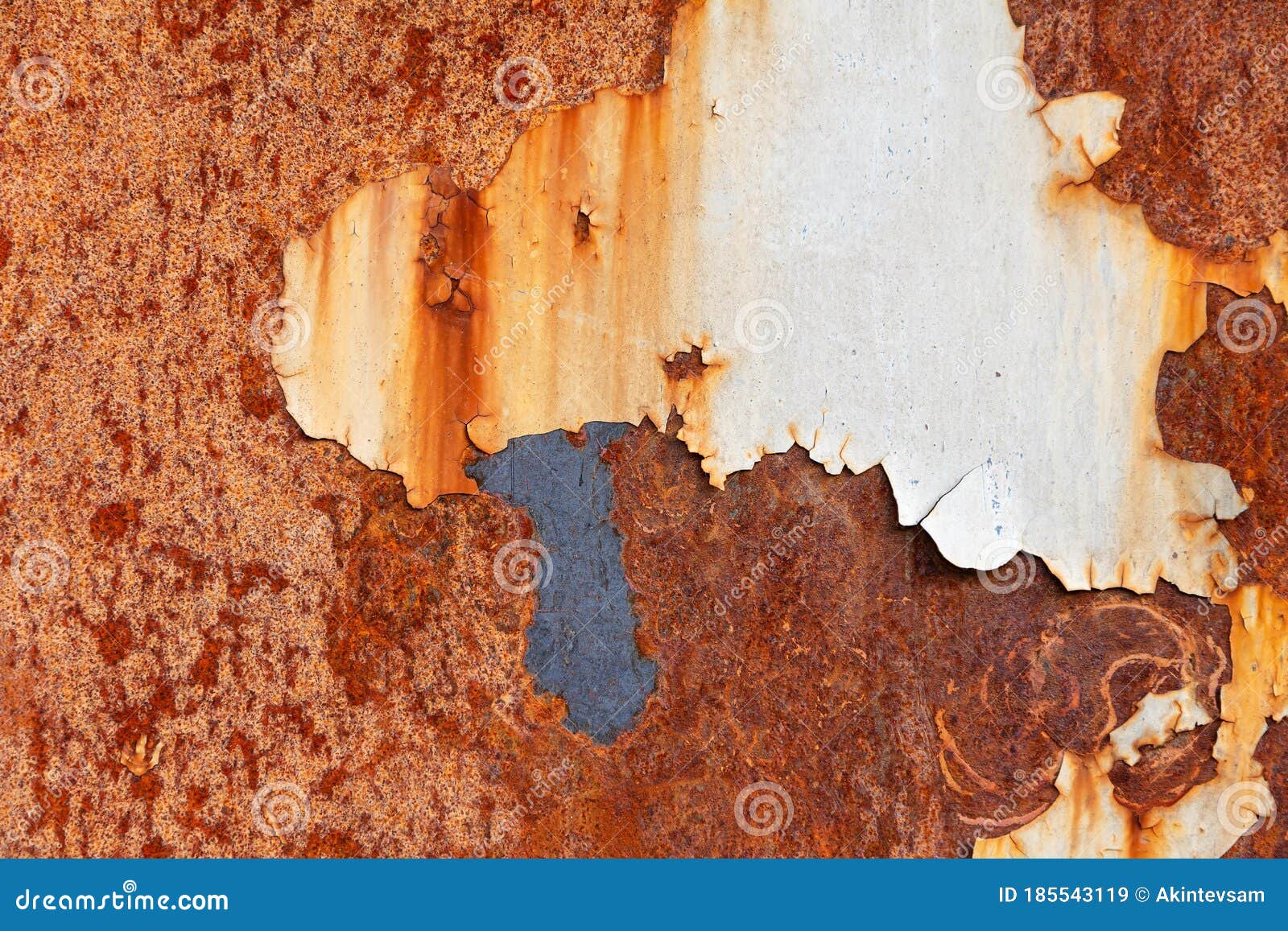 Rust on a Metal Sheet with Peeling White Paint Stock Image - Image of ...