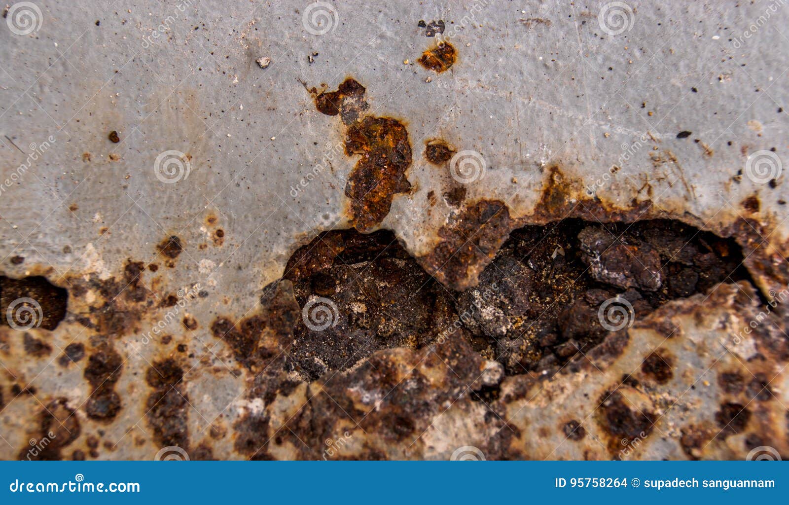 Rust stock photo. Image of rusted, rust, organism, texture - 95758264