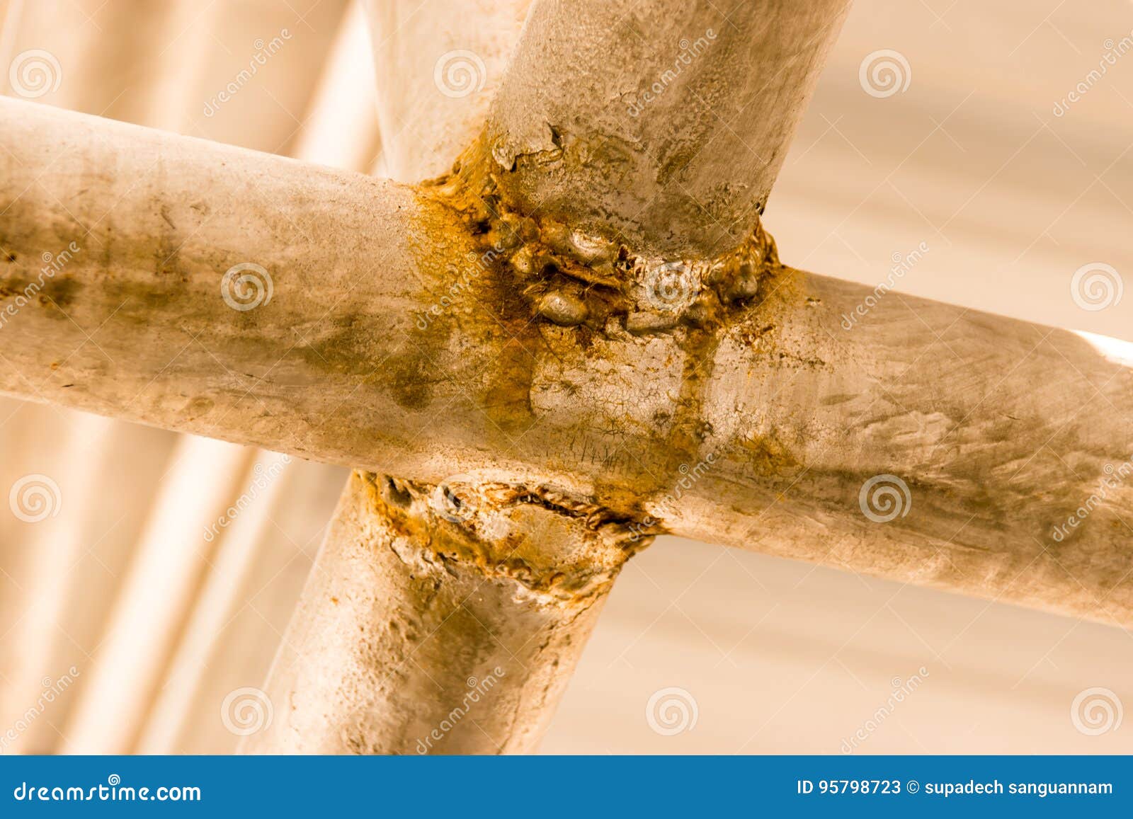 Rust stock image. Image of rust, beautiful, twig, wood - 95798723