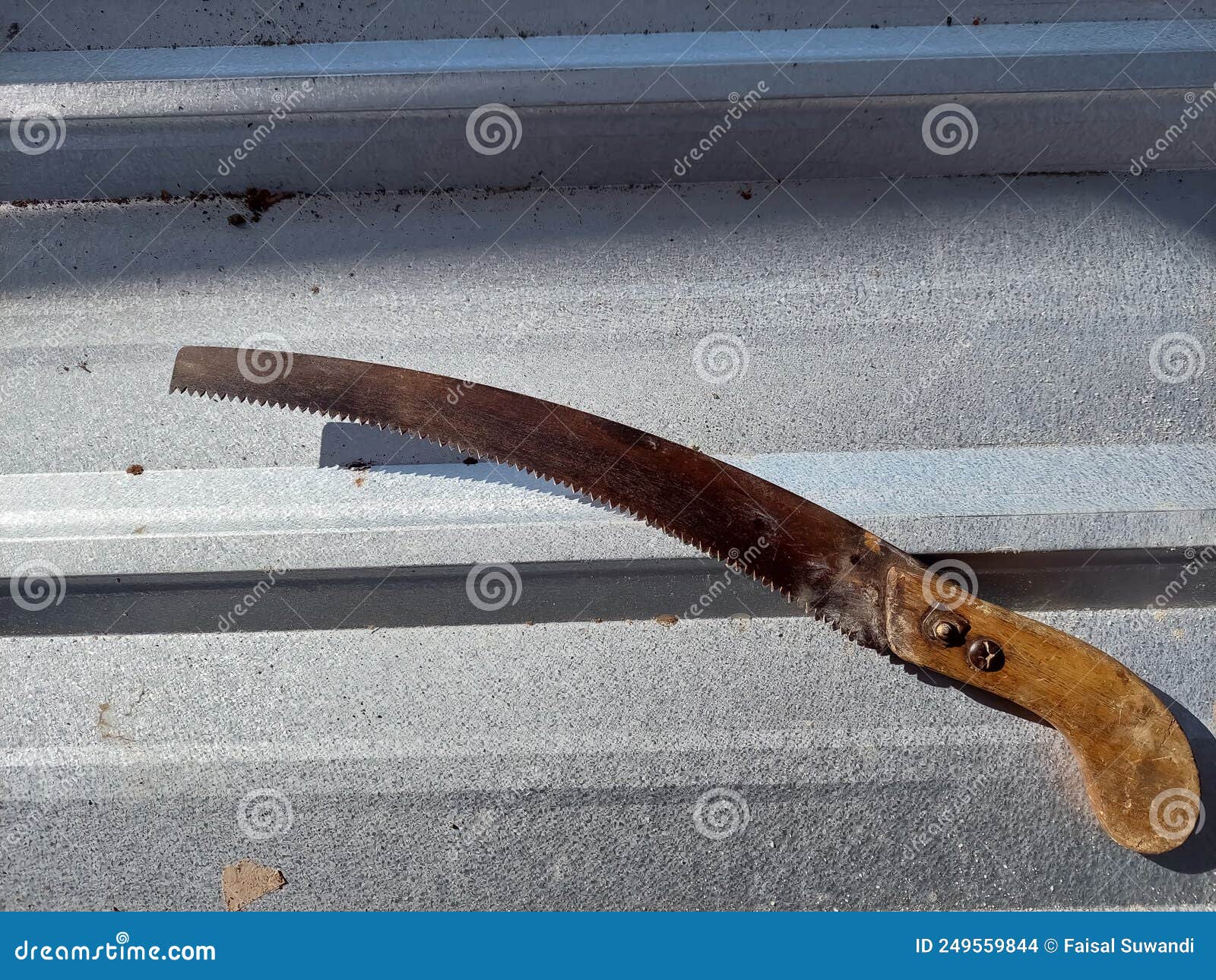 A Rust Saw on a Silver Tray Stock Photo - Image of leaf, floor: 249559844
