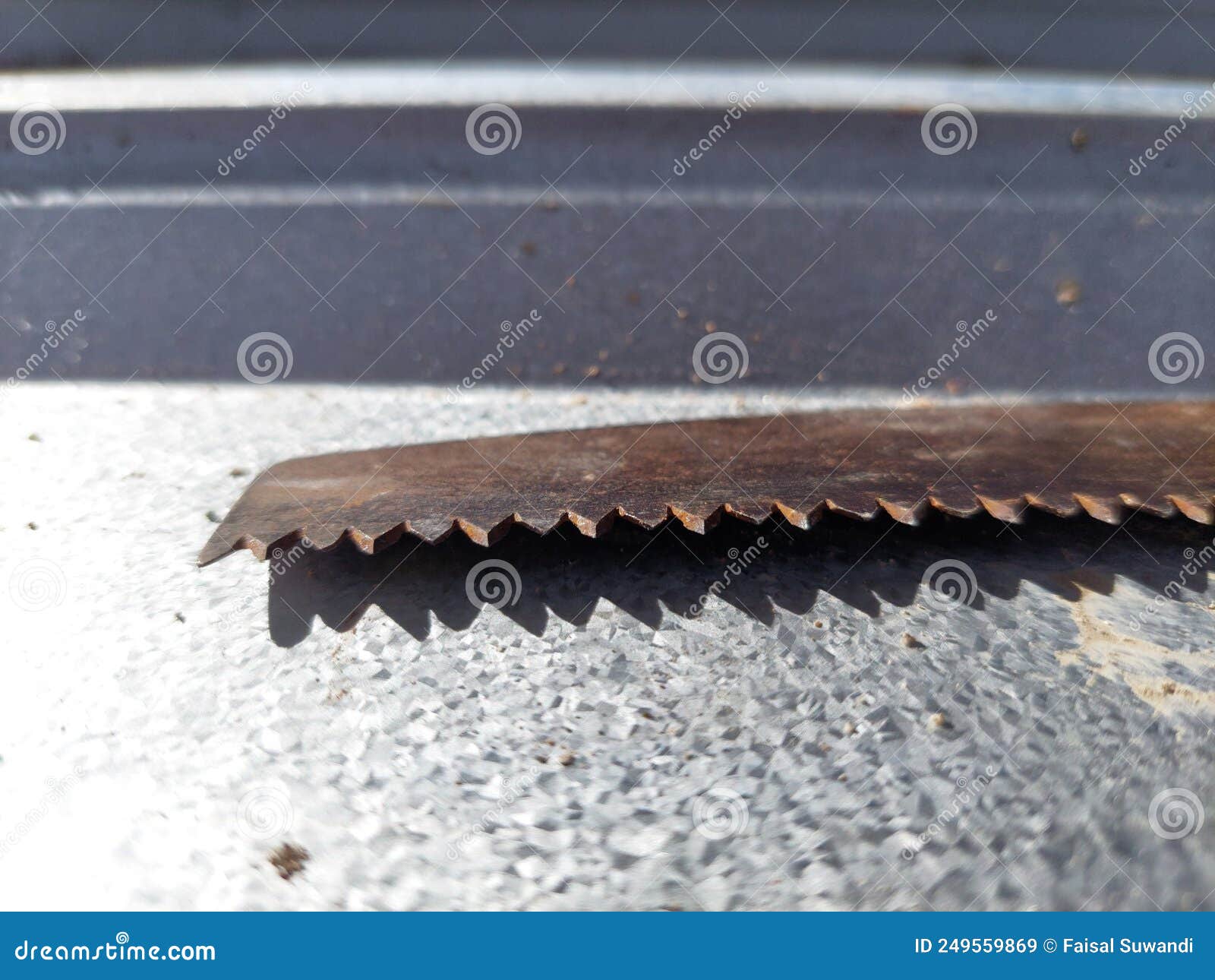 A Rust Saw on a Silver Tray Stock Image - Image of hand, invertebrate ...