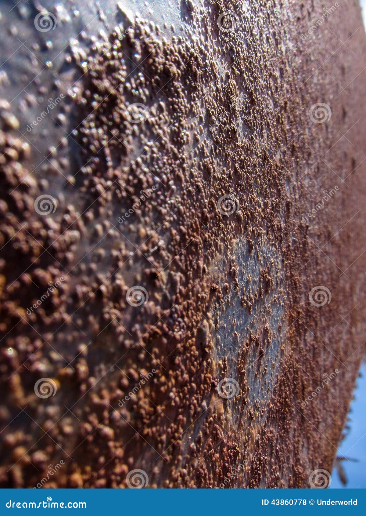 Rust Stained Concrete stock photo. Image of grunge, pattern - 43860778